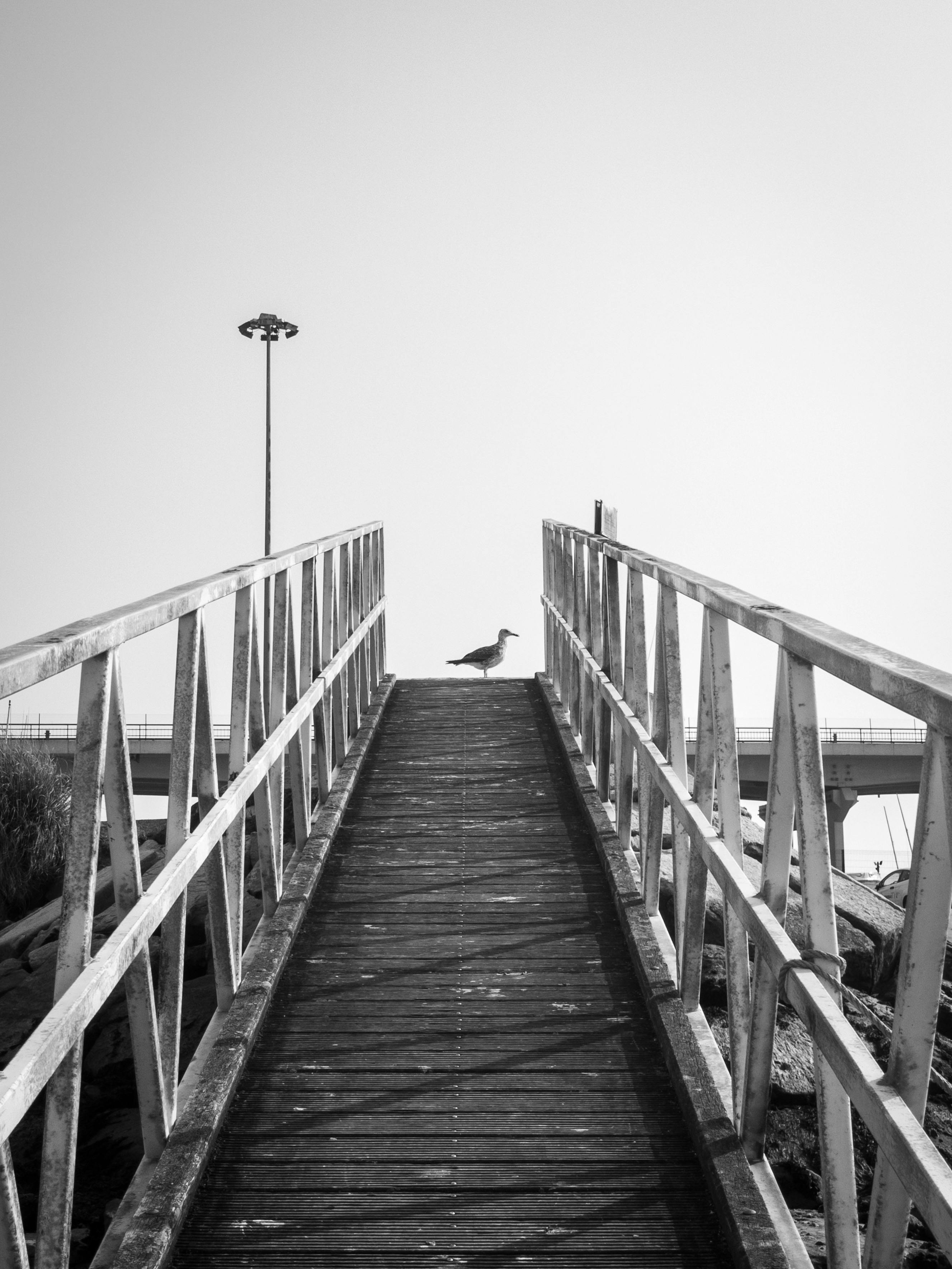 Wood Ladder Perspective Photos, Download The BEST Free Wood Ladder ...