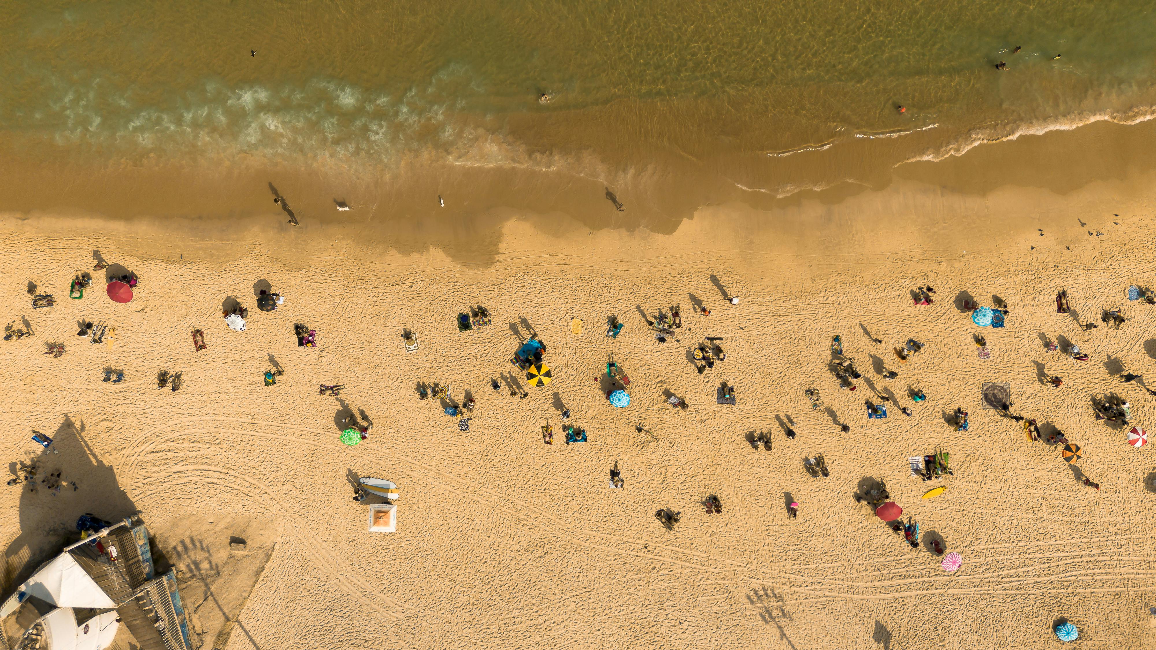 Birds Eye View of People on Beach · Free Stock Photo
