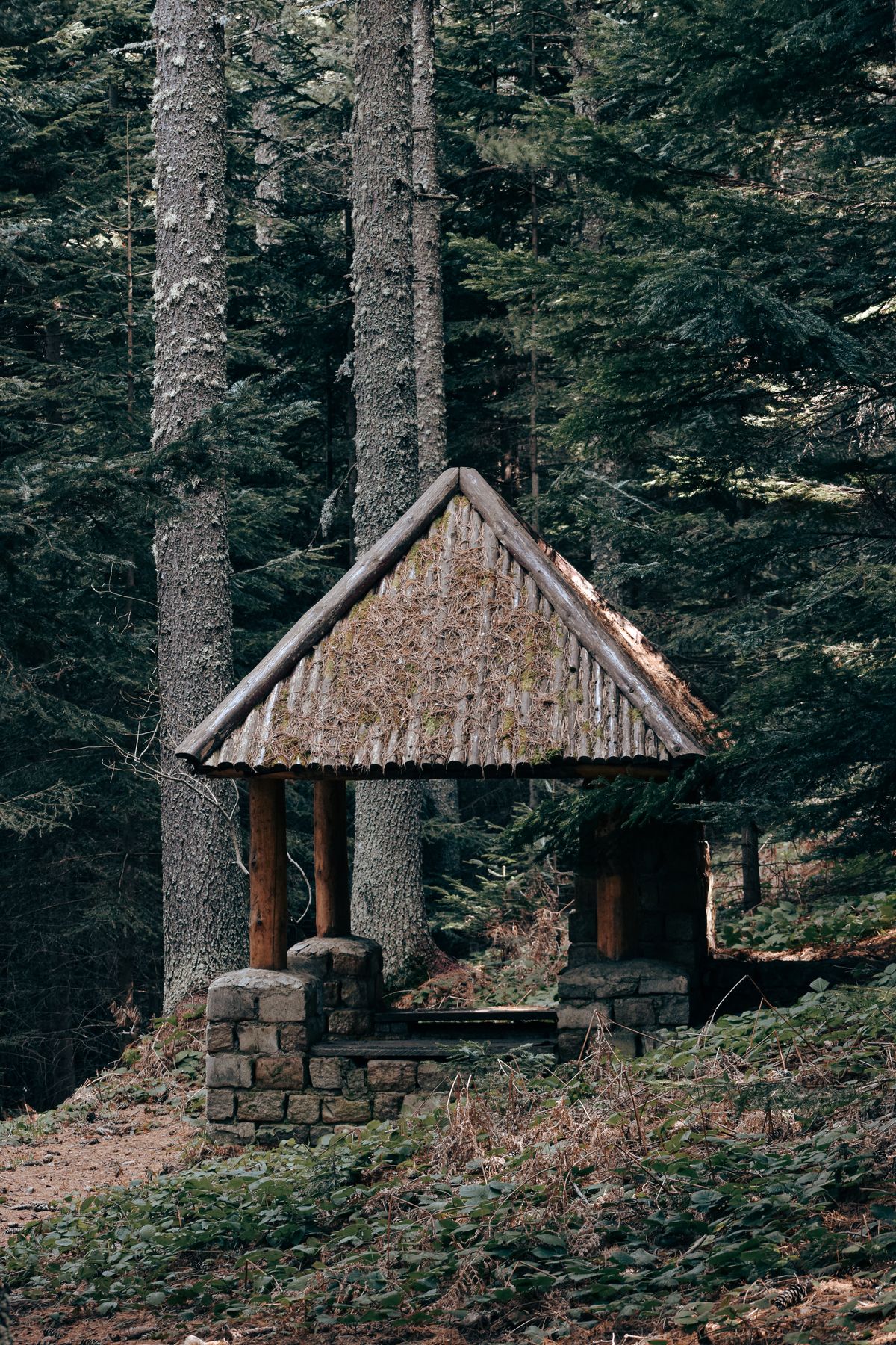 Hut The Photos, Download The BEST Free Hut The Stock Photos & HD Images