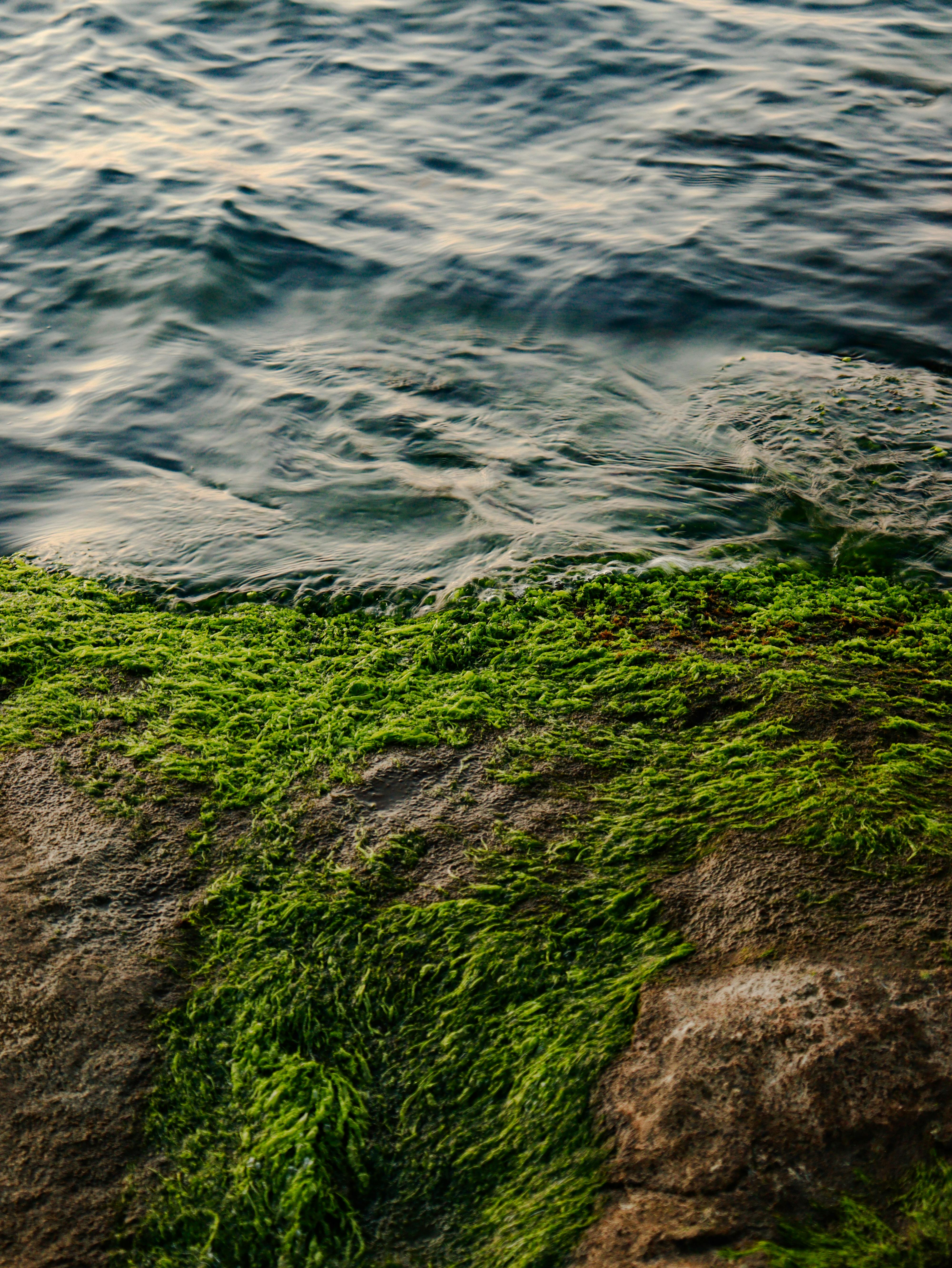 Ertuğrul Salih Ileri - Photography