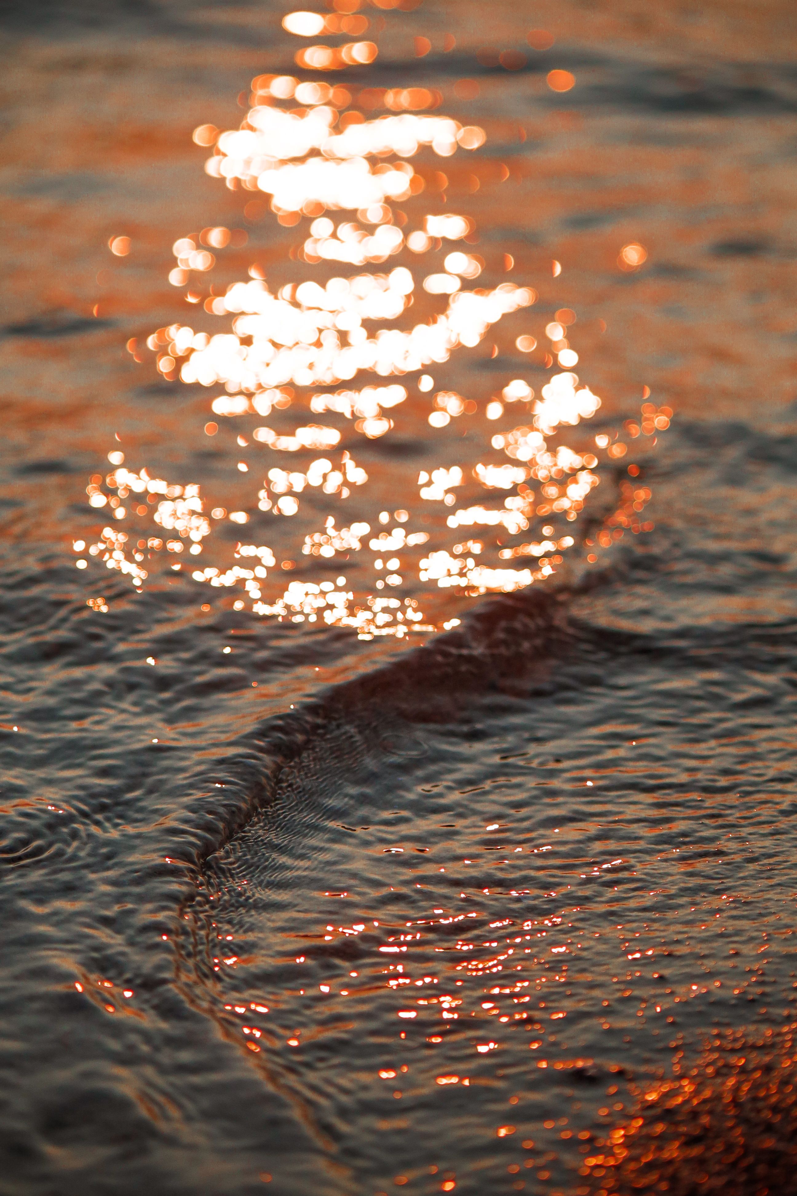Reflection of the Sunset in the Water on the Shore · Free Stock Photo