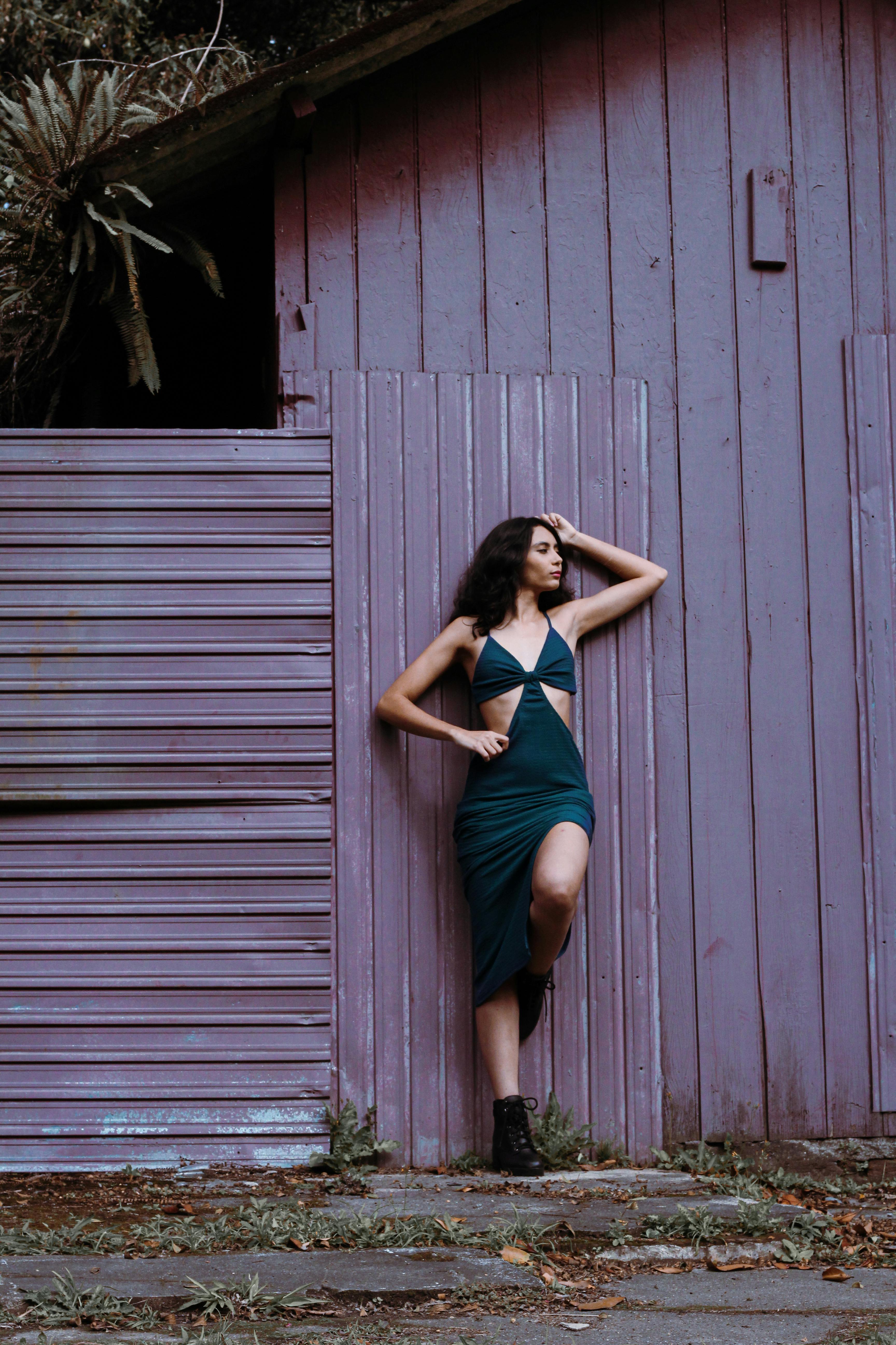 Rodrigues House Photos, Download The BEST Free Rodrigues House Stock ...