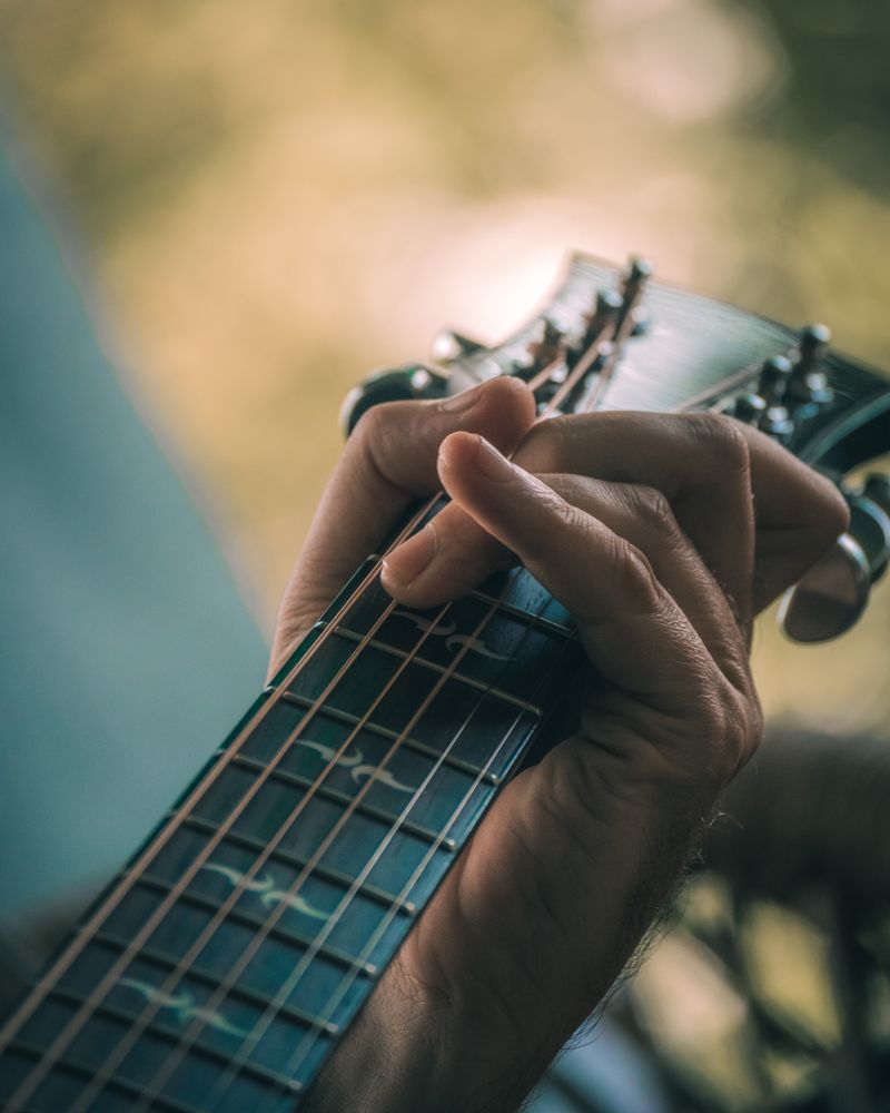 Guitar Pics Photos, Download The BEST Free Guitar Pics Stock Photos ...
