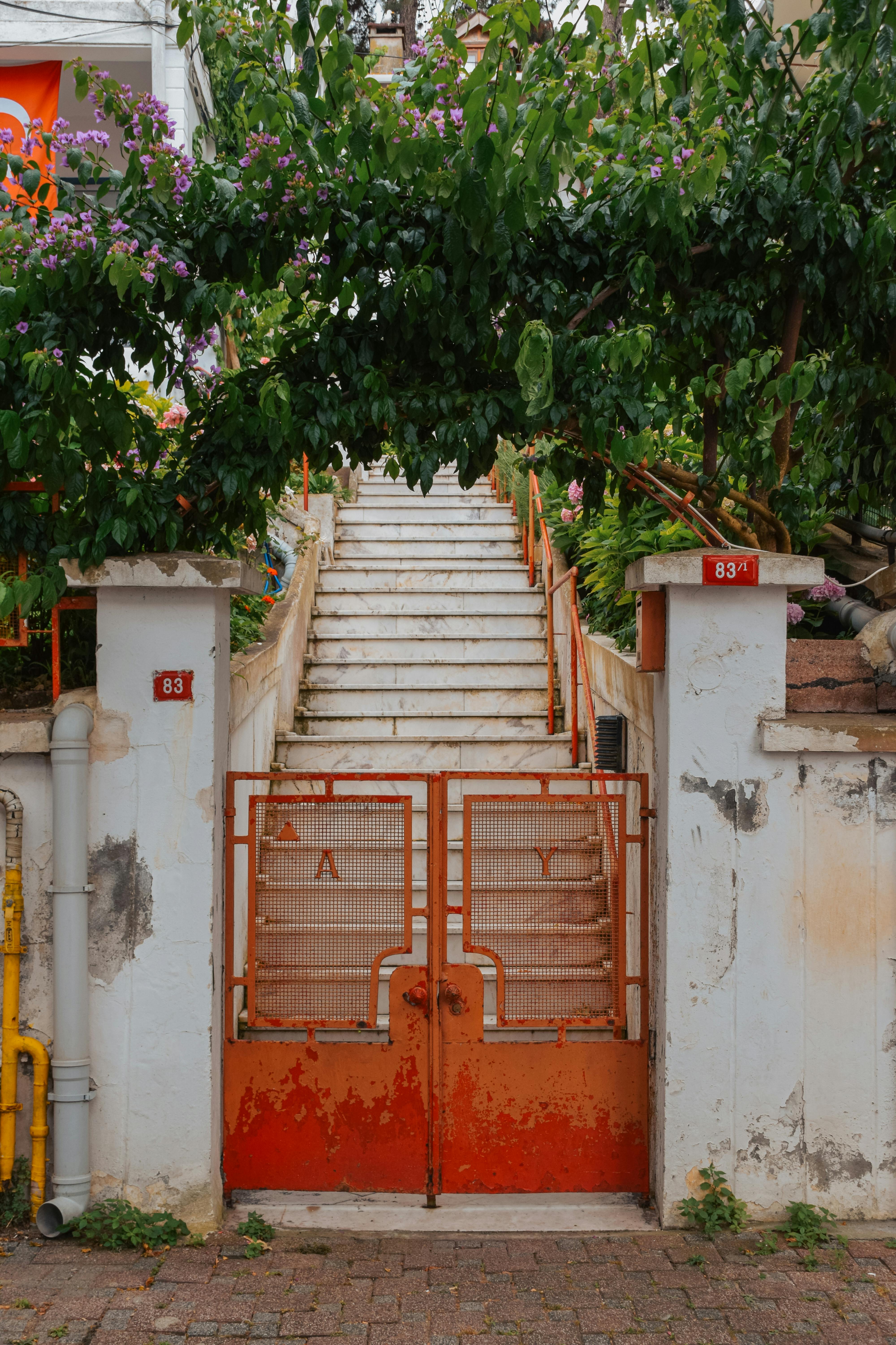 Entrance Gate and Steps · Free Stock Photo