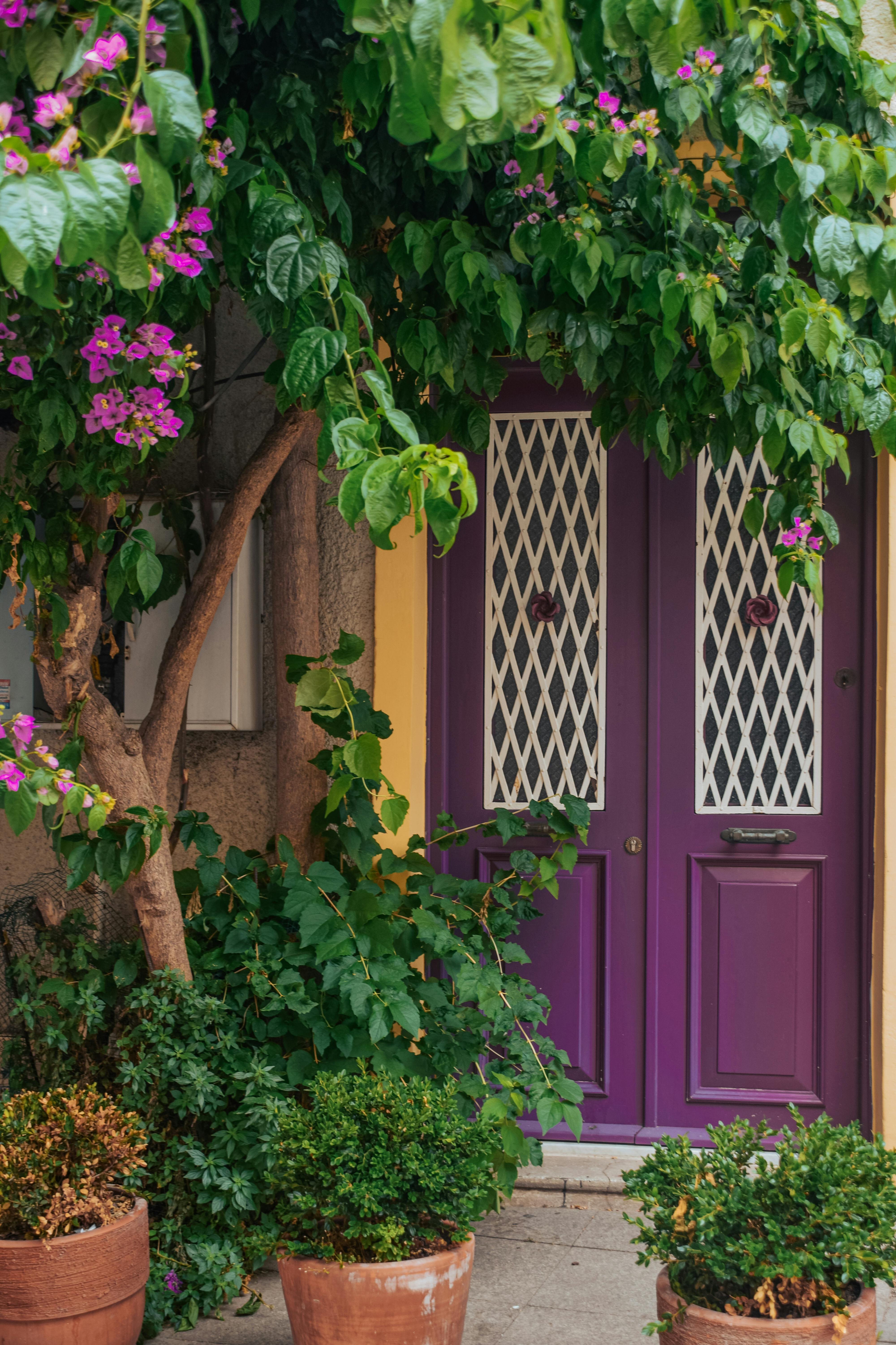 Purple Doors Photos, Download The BEST Free Purple Doors Stock Photos ...