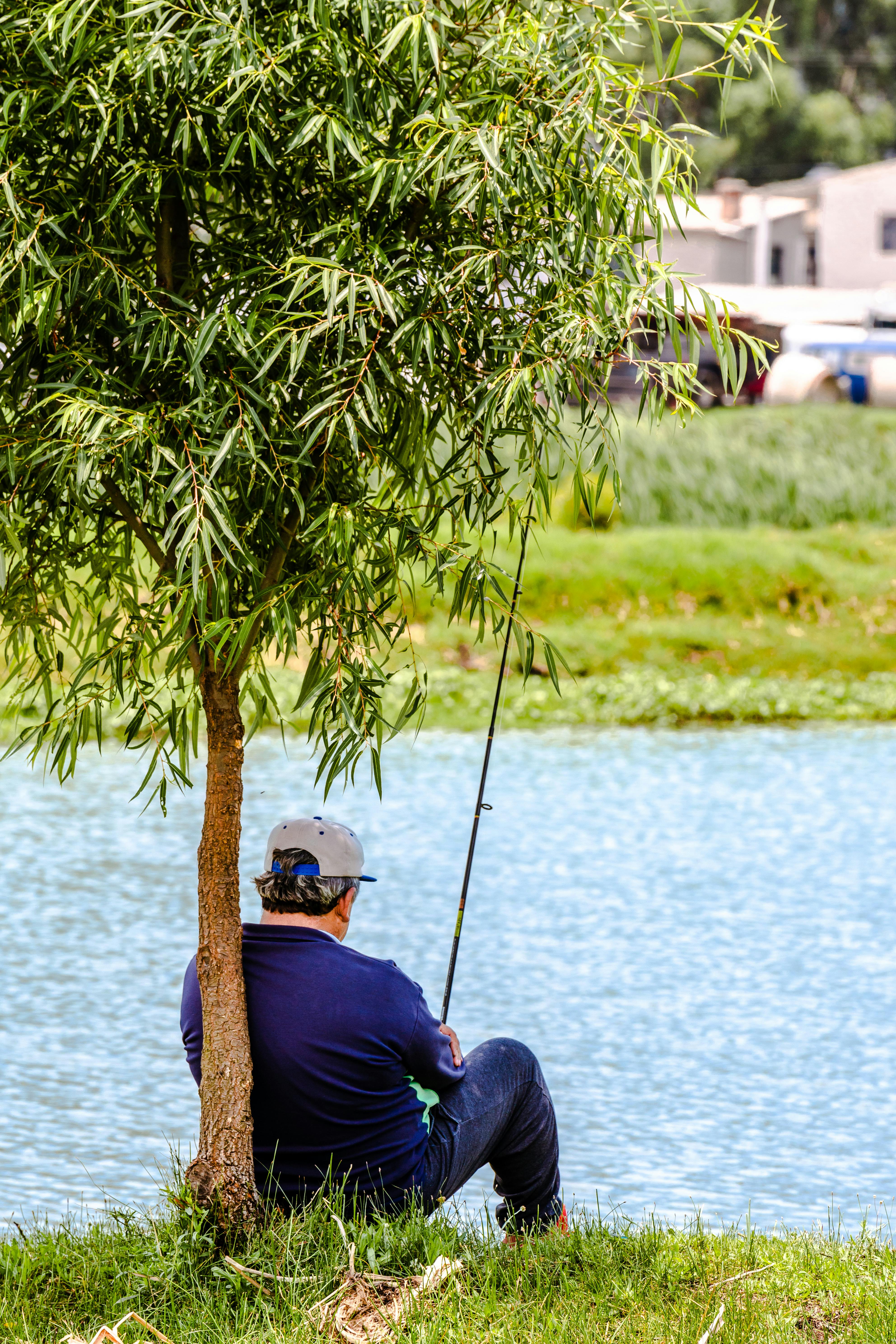 Man Sitting by Tree and Fishing · Free Stock Photo