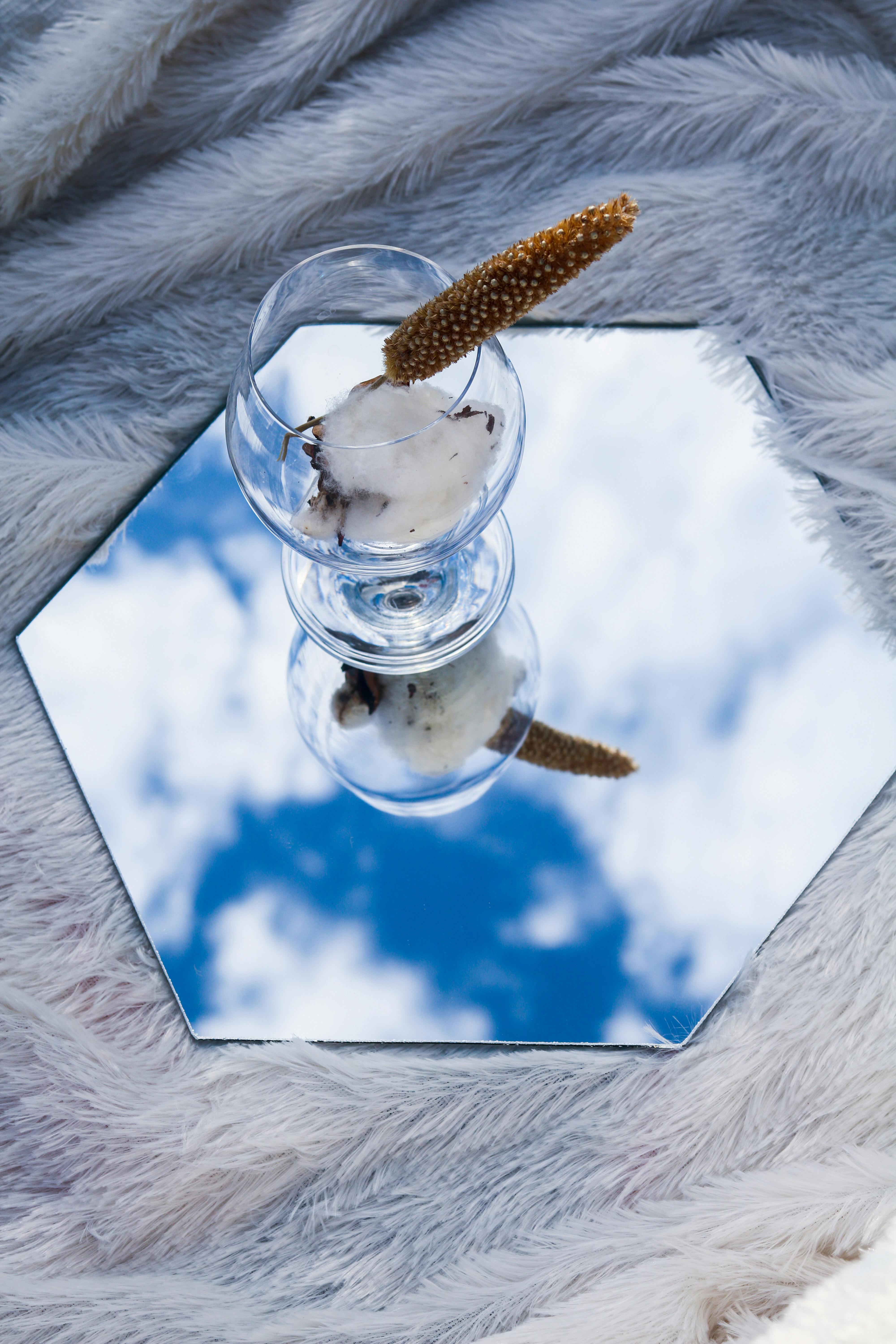 Disha Sheta - Photographie