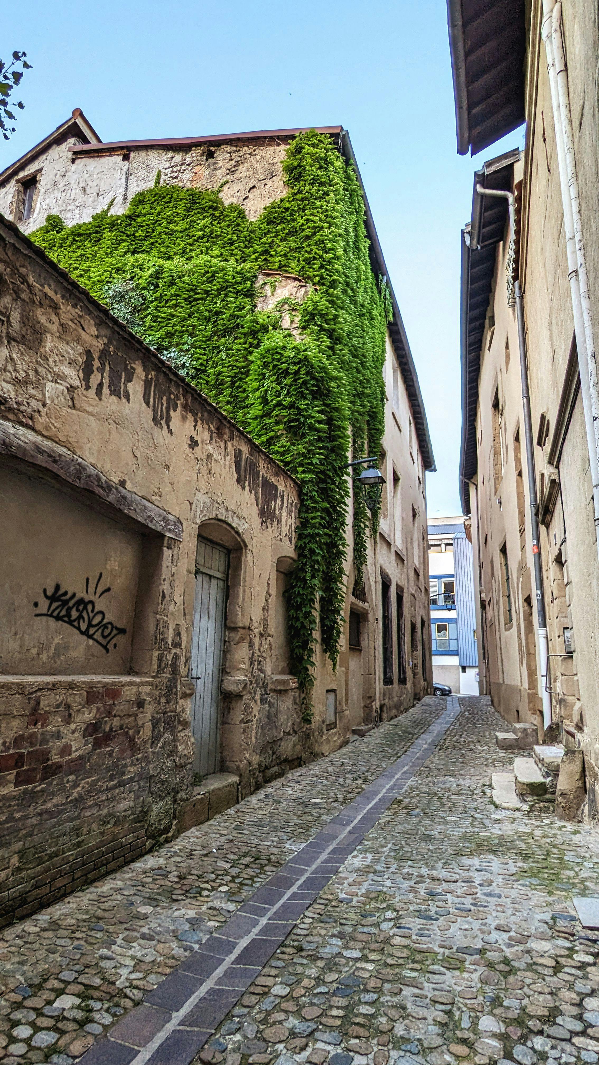 Stéphane Benoit - 사진