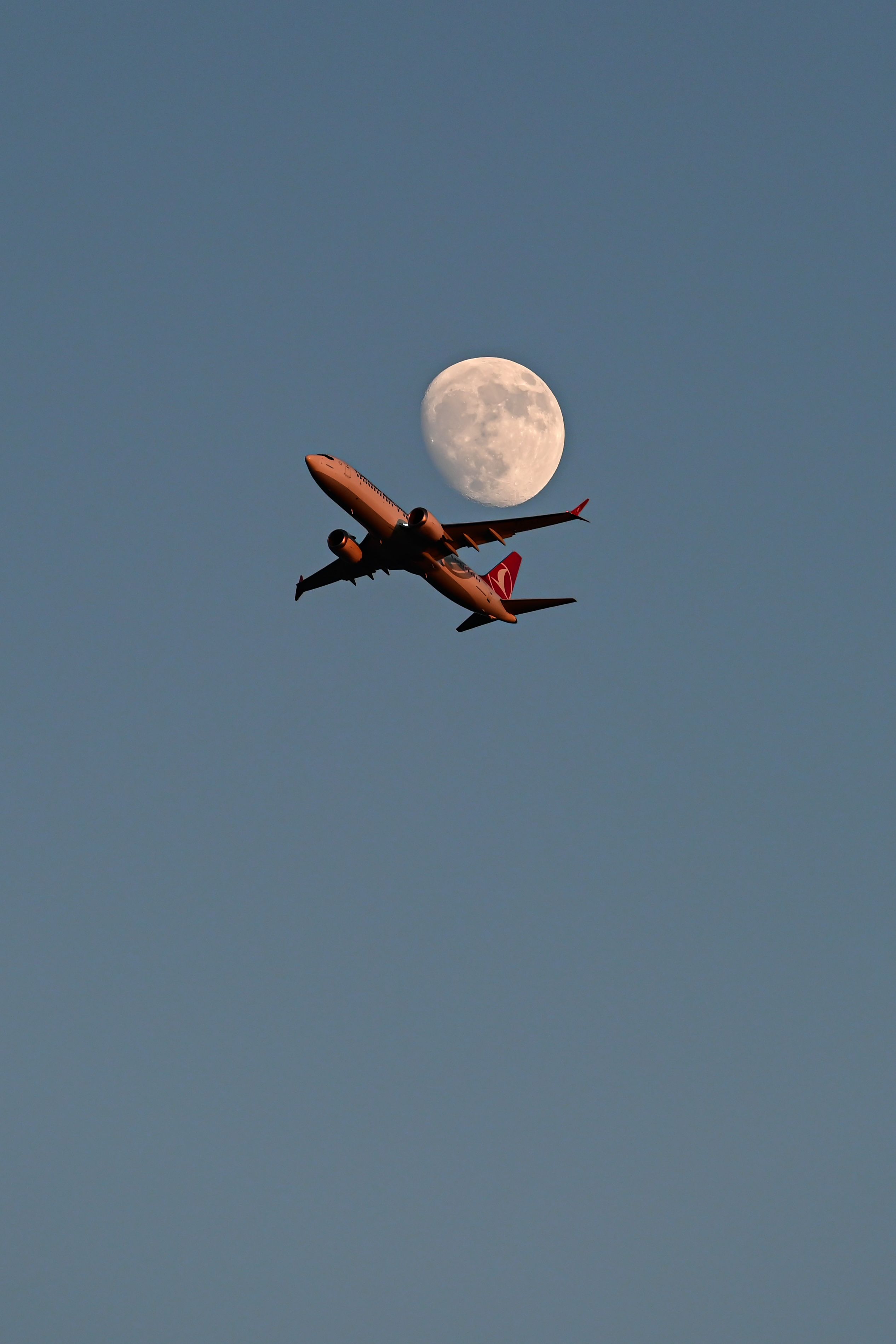 Moon over Airplane on Clear Sky at Sunset · Free Stock Photo