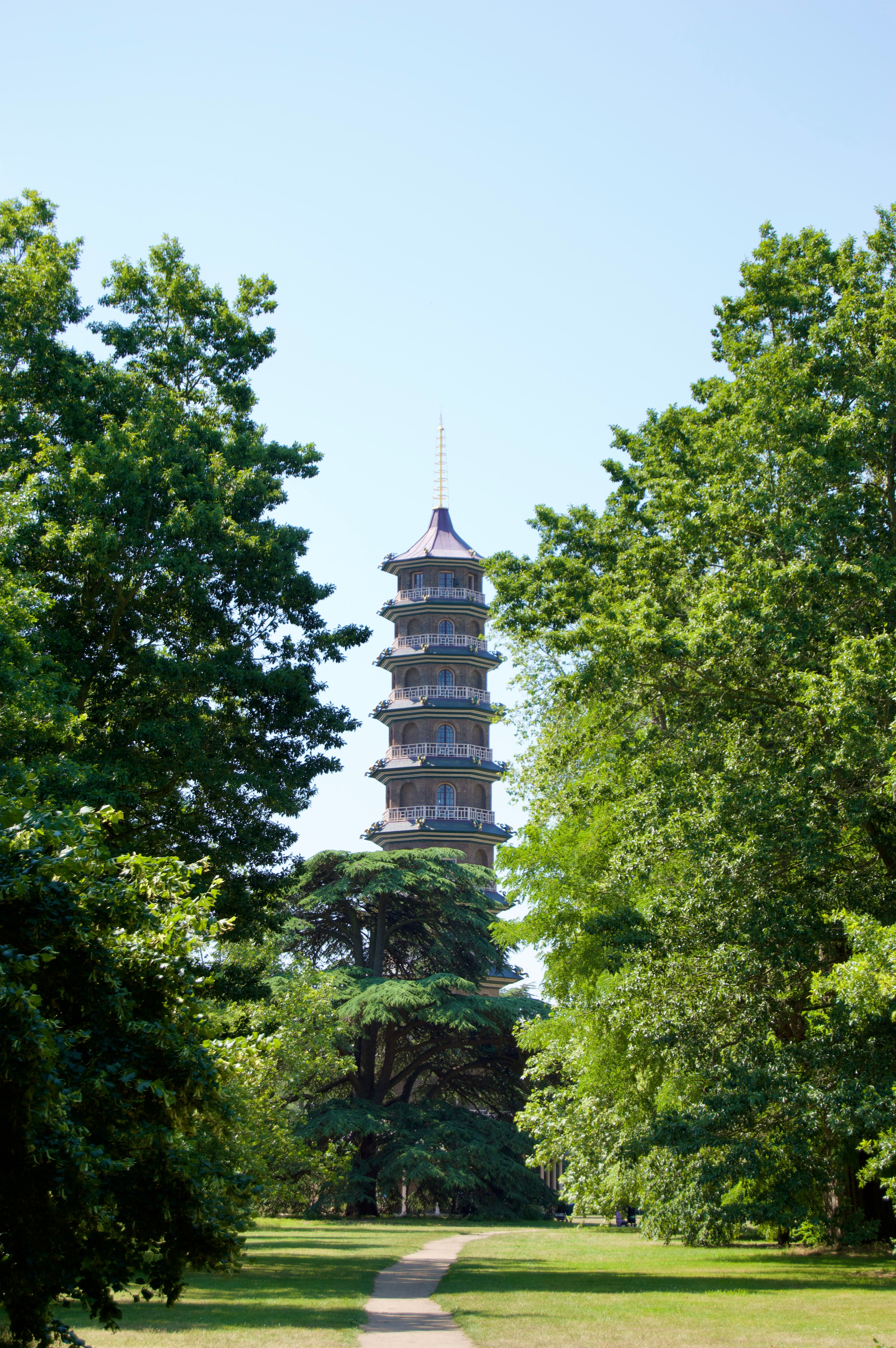 Great Pagoda behind Trees · Free Stock Photo
