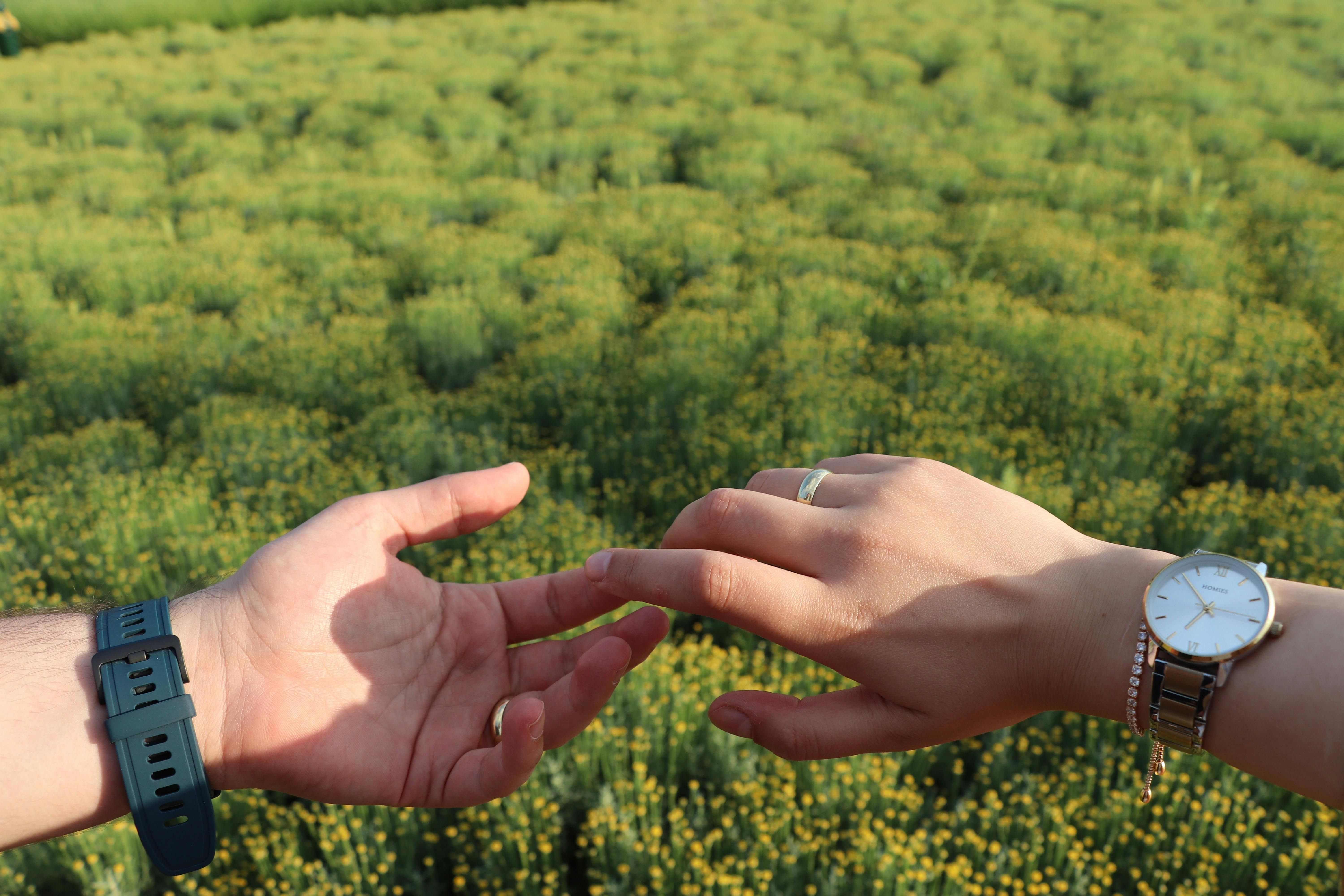 Human Clasp Hands · Free Stock Photo