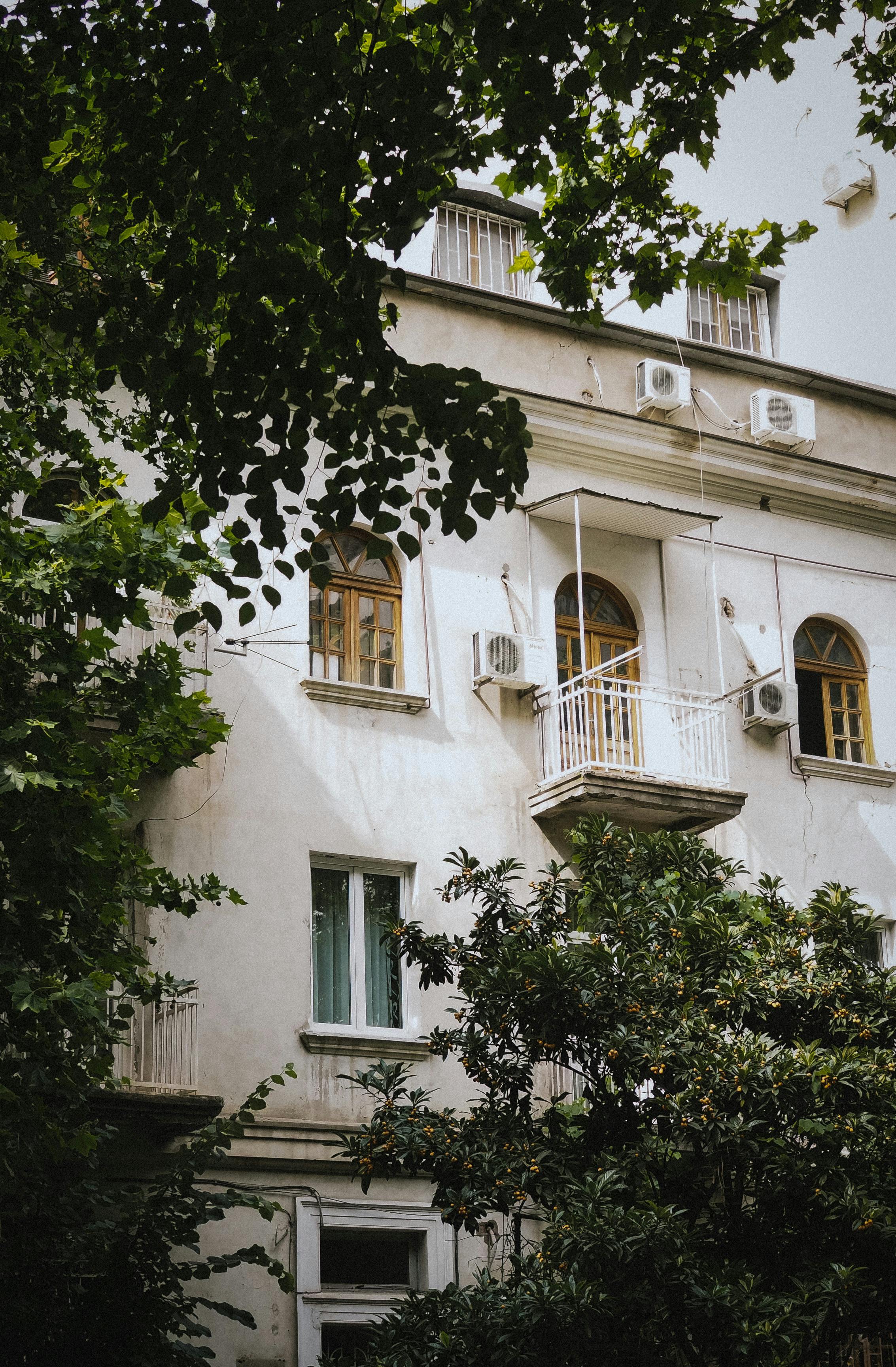 Homes Branch Photos, Download The BEST Free Homes Branch Stock Photos ...