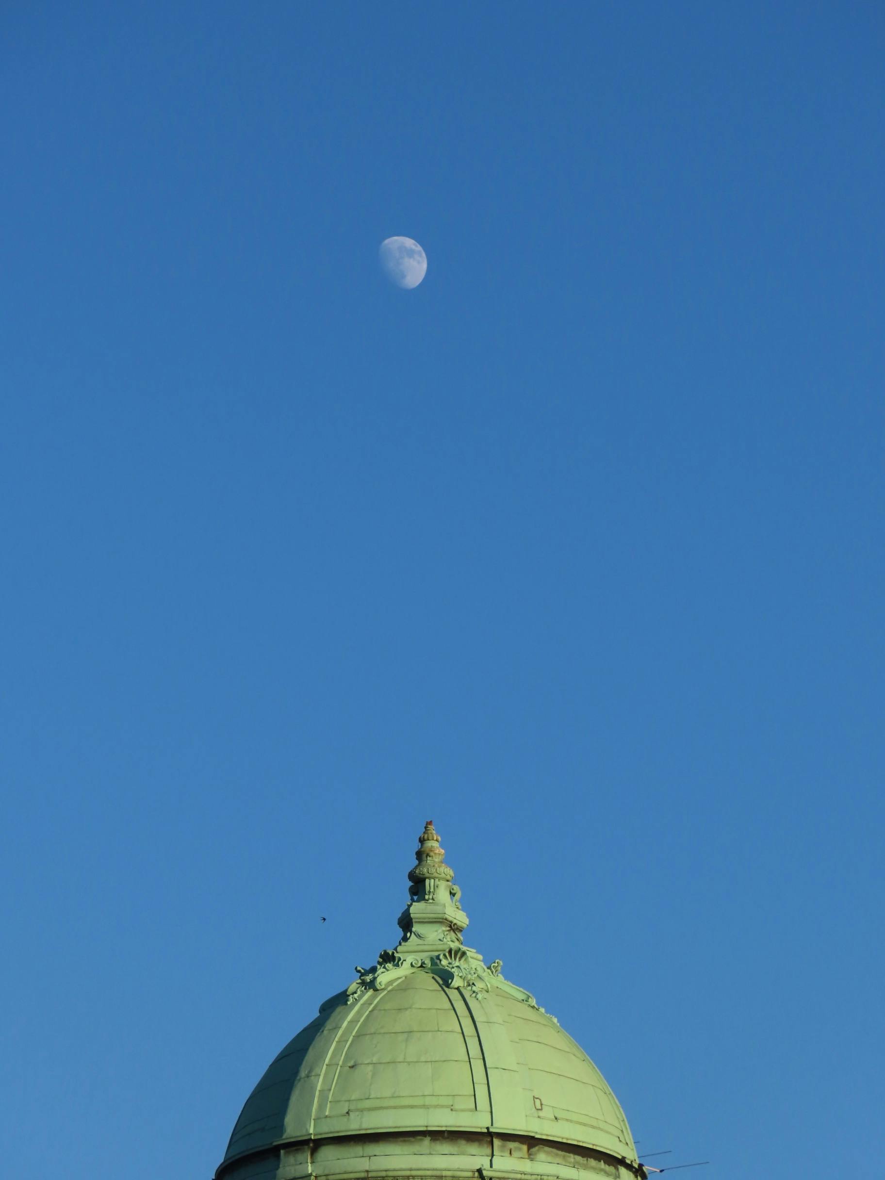 Green Dome Photos, Download The BEST Free Green Dome Stock Photos & HD ...