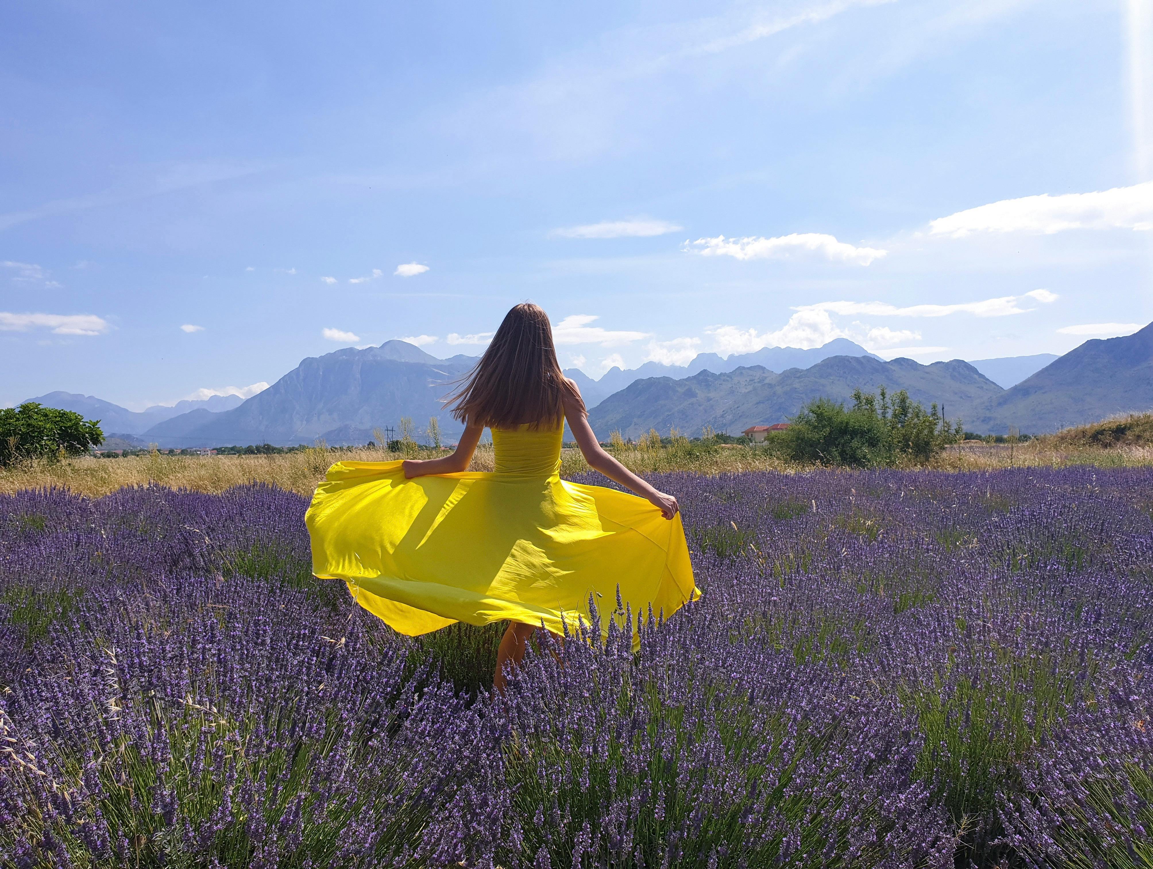 Lavender Mountains Photos, Download The BEST Free Lavender Mountains ...