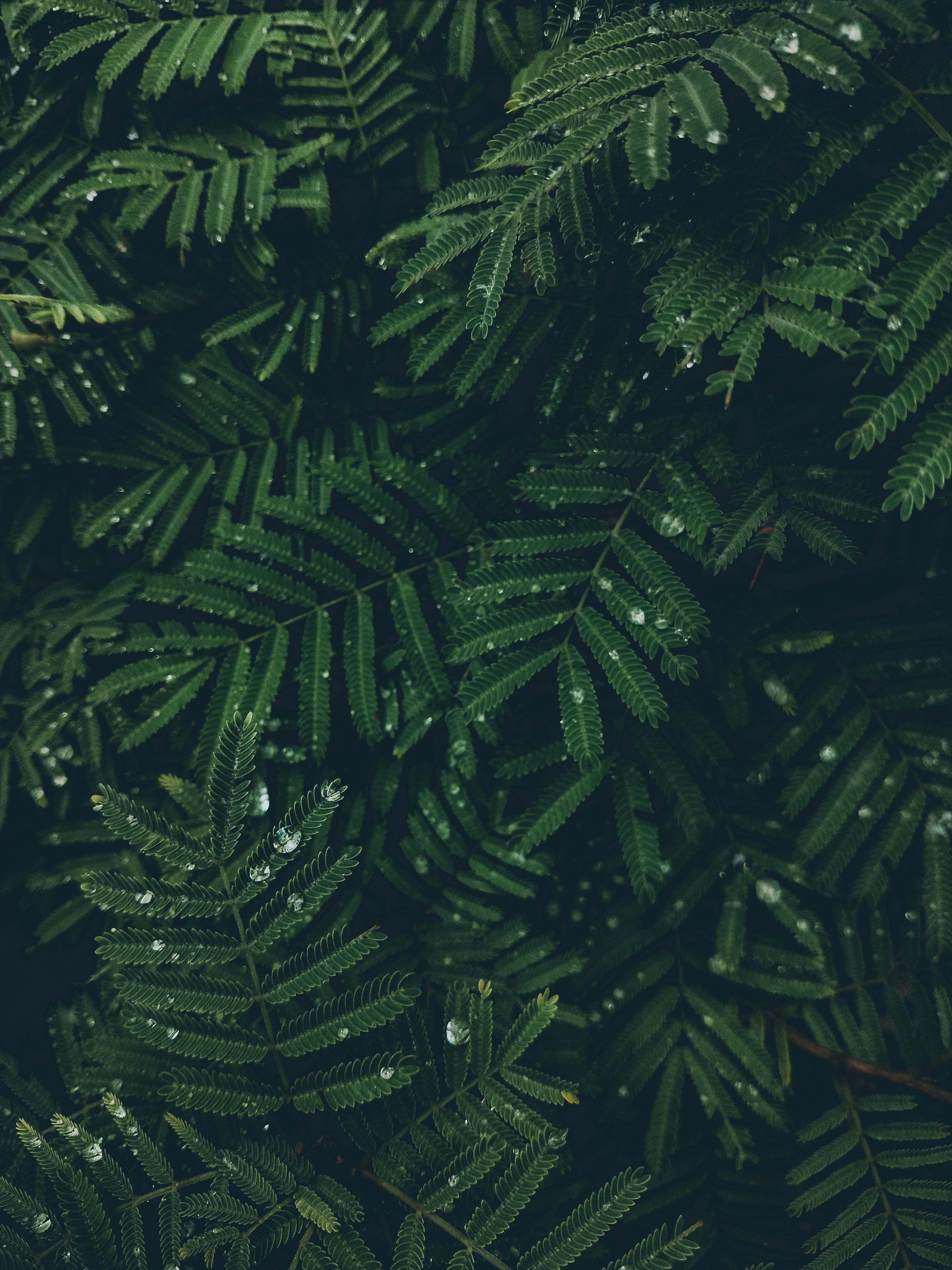 Monsoon Texture Photos, Download The BEST Free Monsoon Texture Stock ...