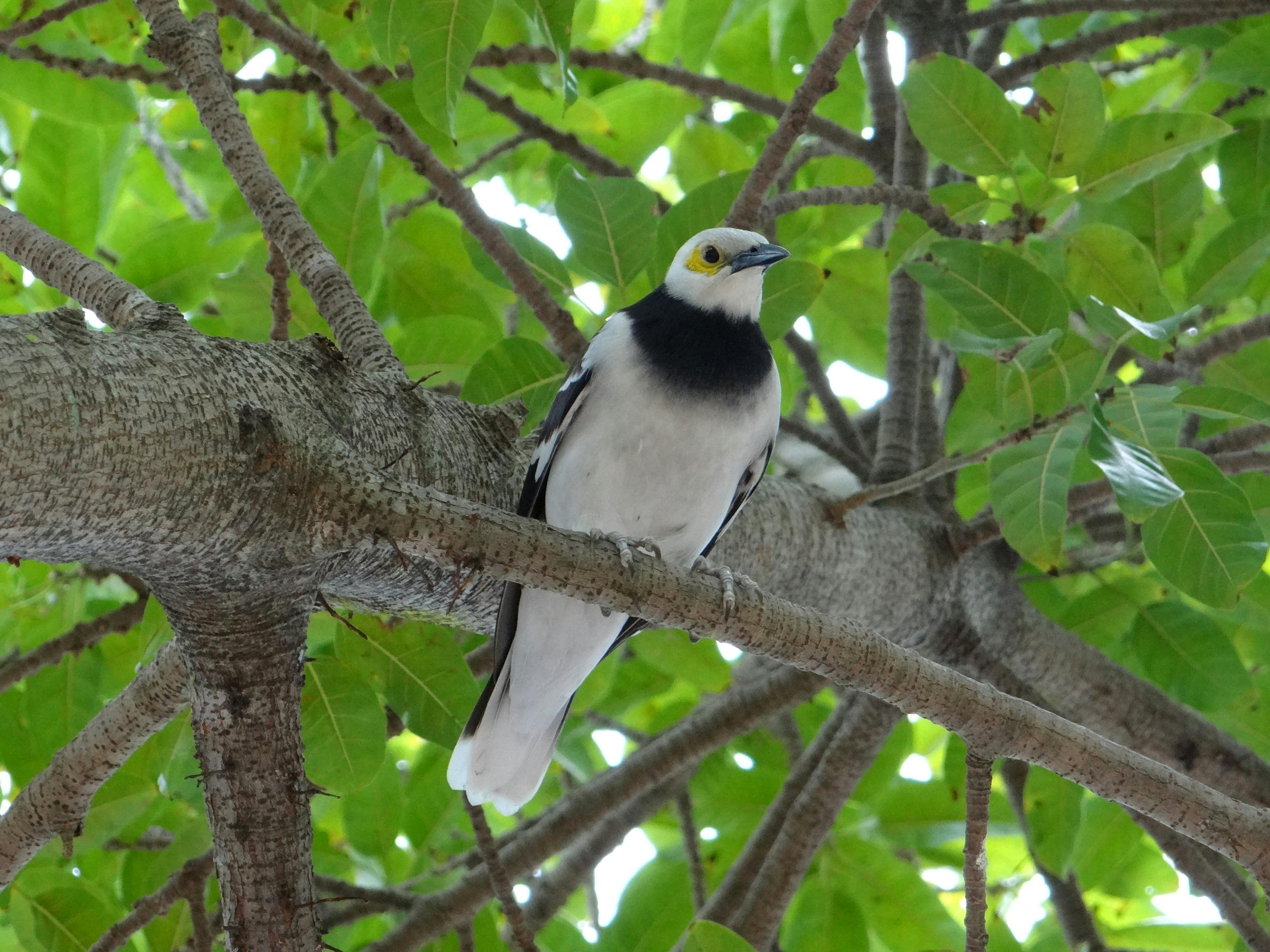 Amy Law - Fotografía