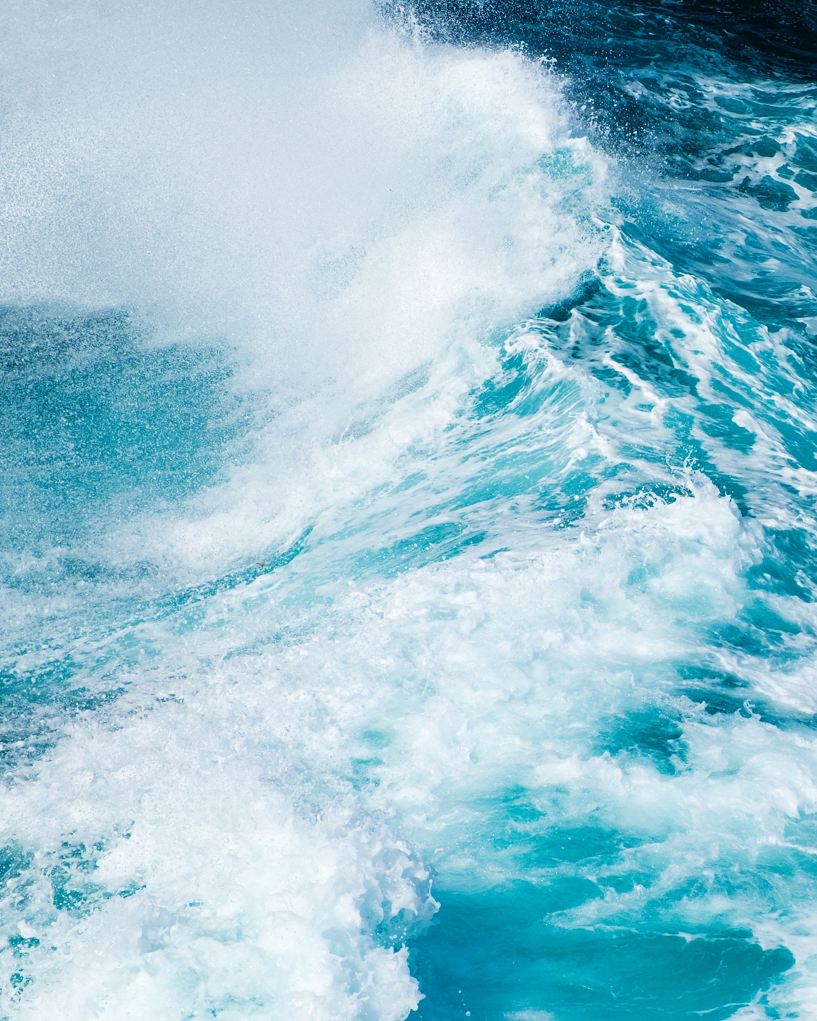 Sea Market Photos, Download The BEST Free Sea Market Stock Photos & HD ...