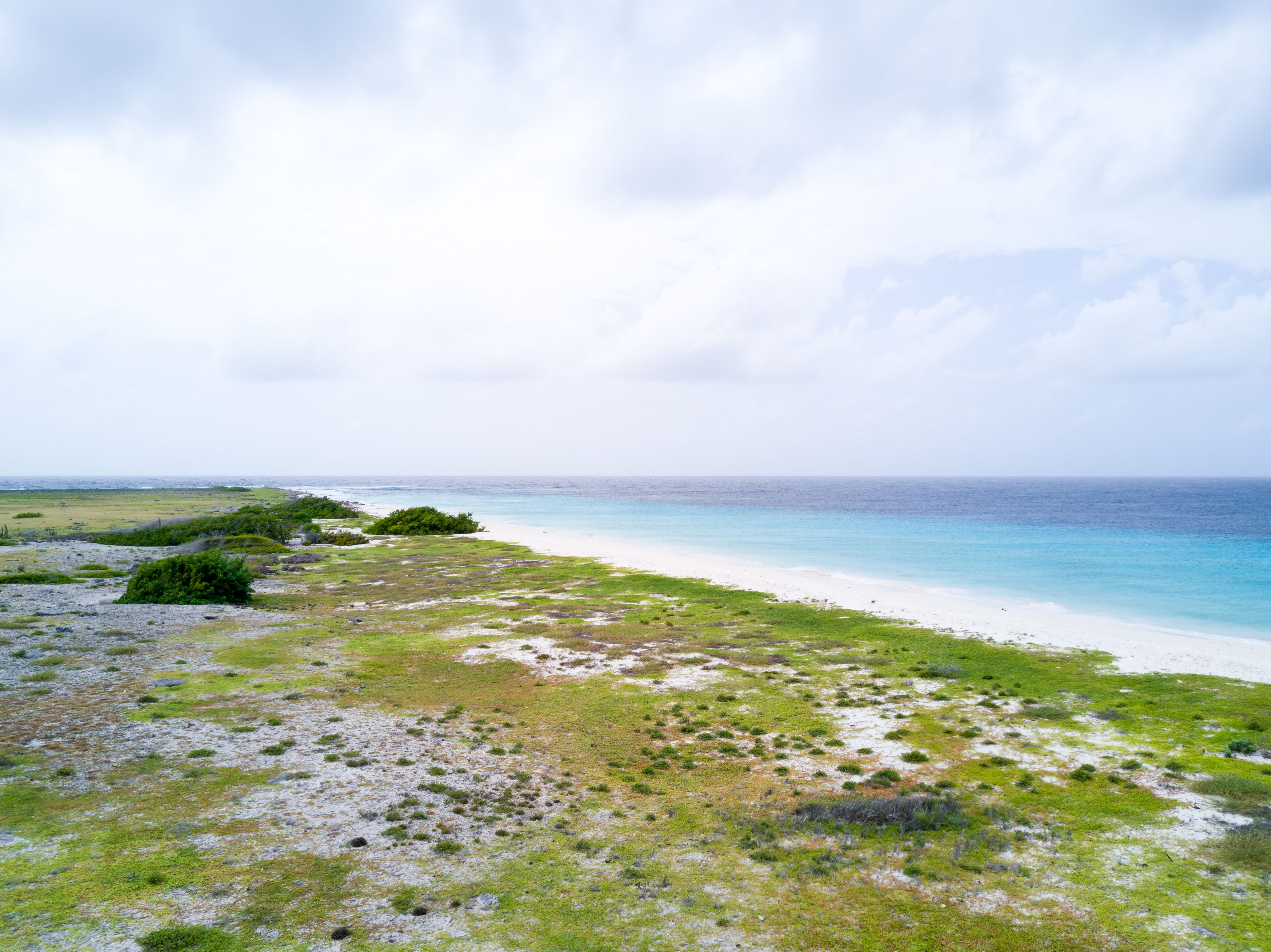 Grassy Beach by the Sea · Free Stock Photo