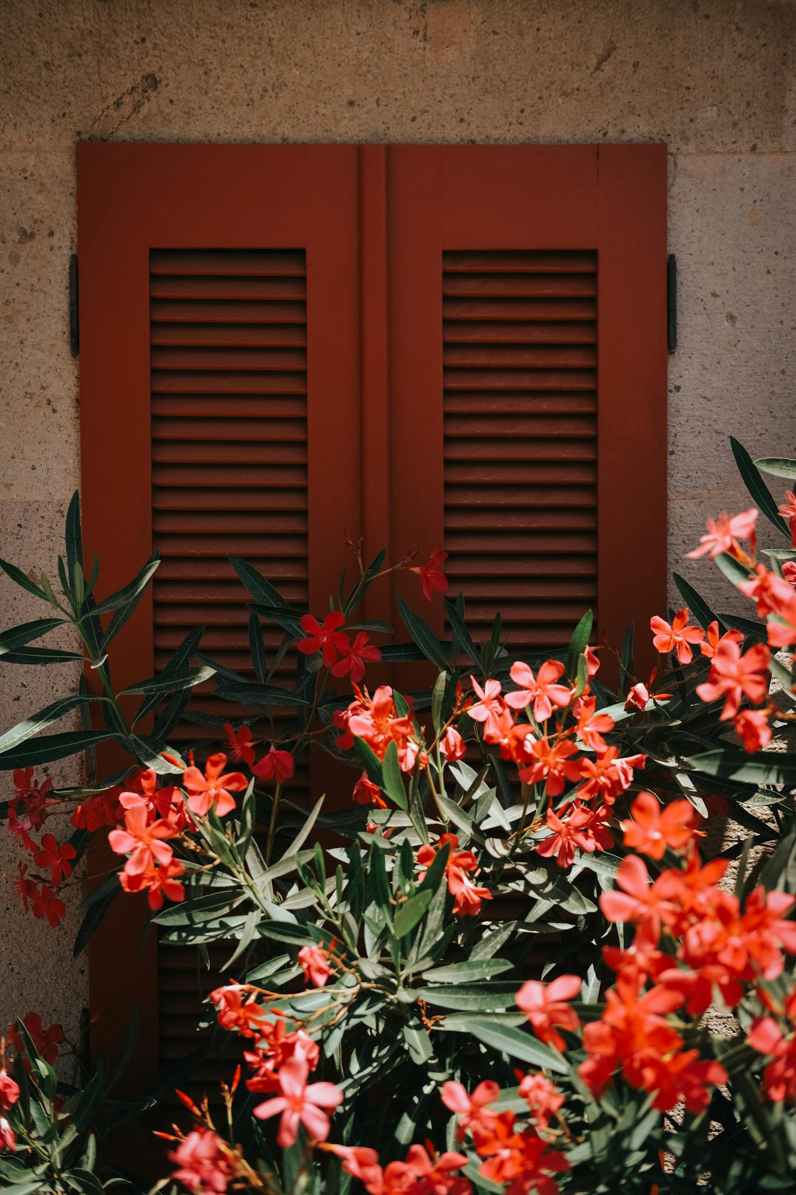 Shutters Photos, Download The BEST Free Shutters Stock Photos & HD Images