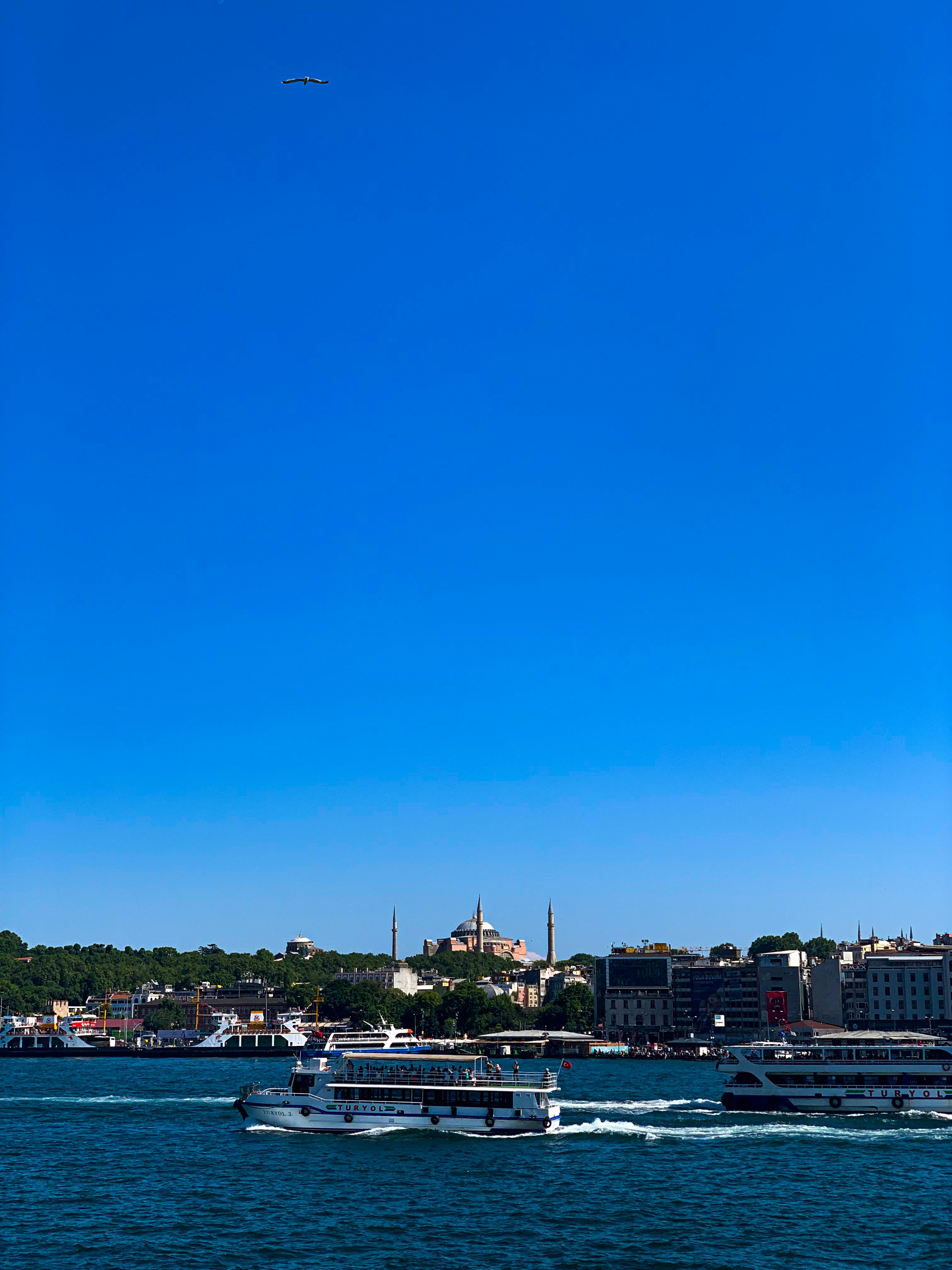 Vessels Photos, Download The BEST Free Vessels Stock Photos & HD Images