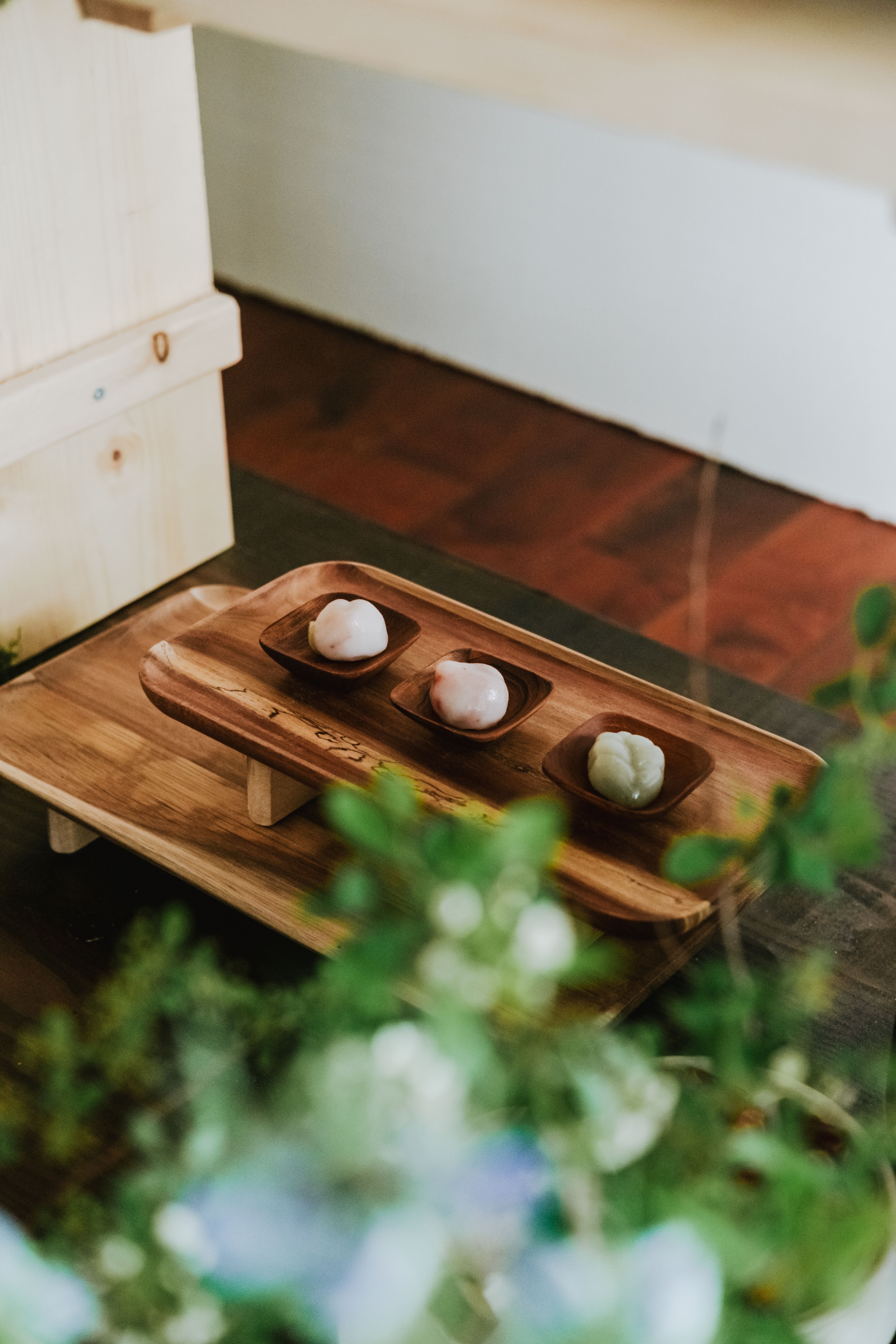 Tray Photos, Download The BEST Free Tray Stock Photos & HD Images