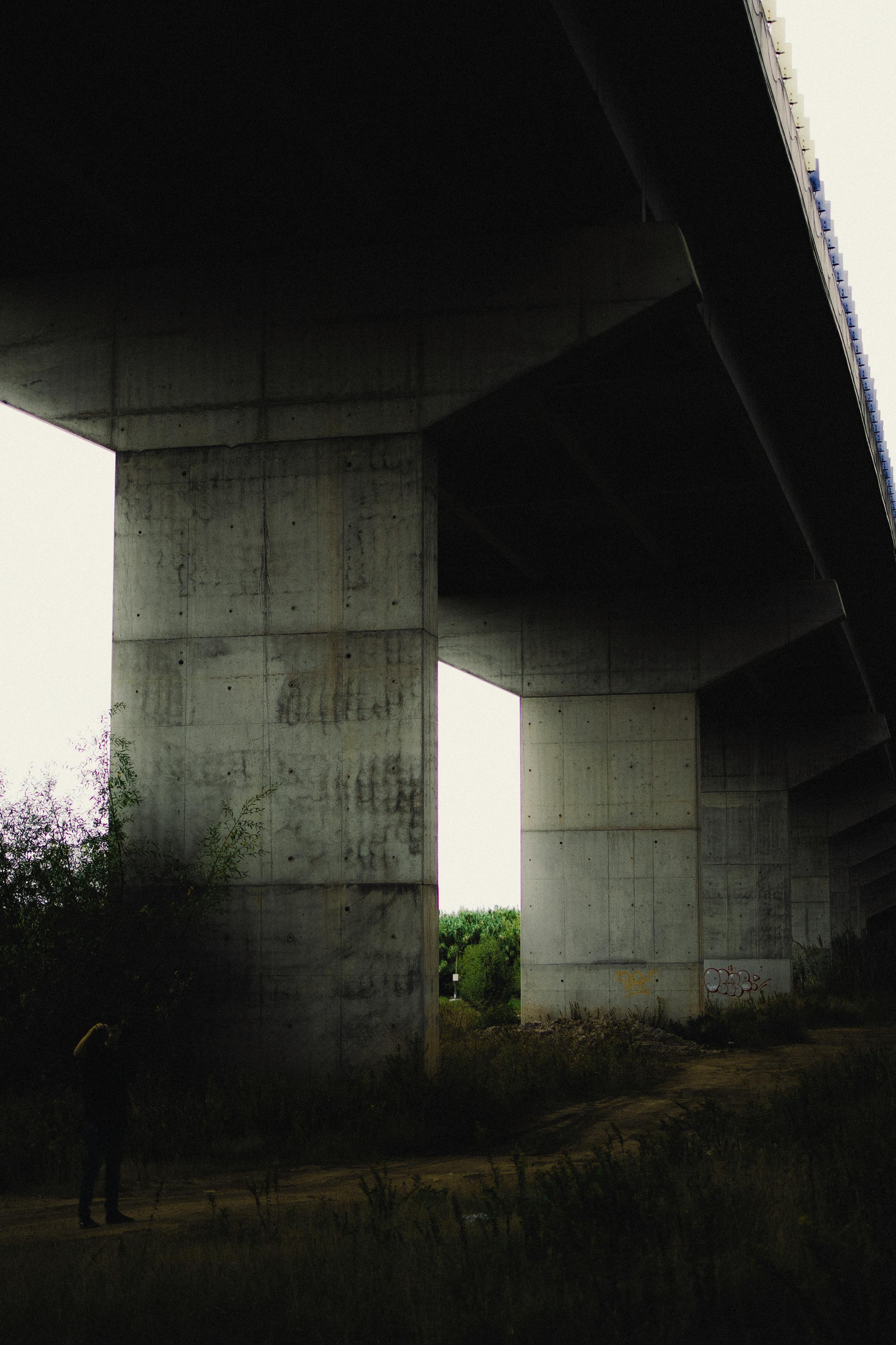 Pillars of Bridge · Free Stock Photo