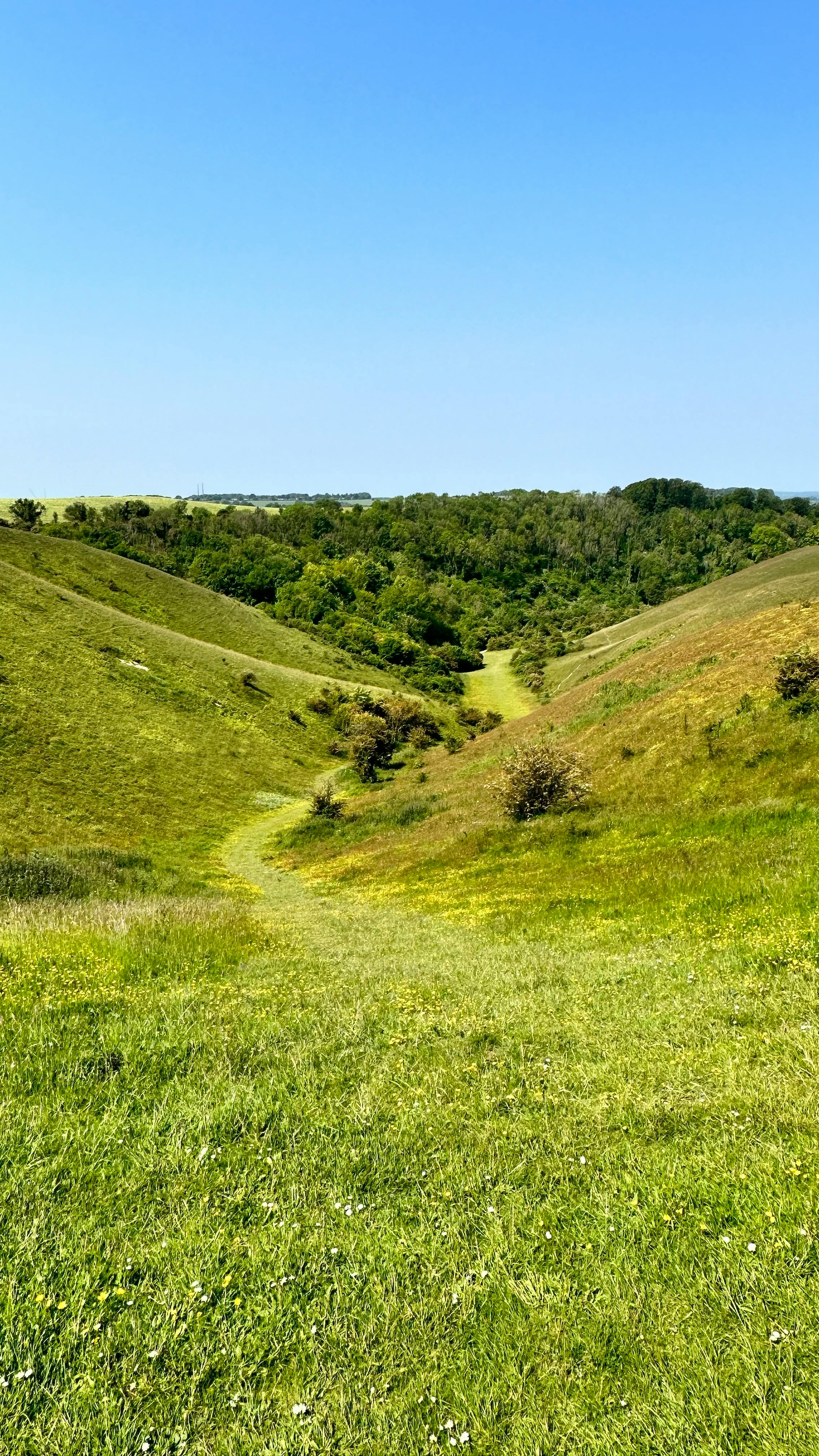 James Goss - Photography