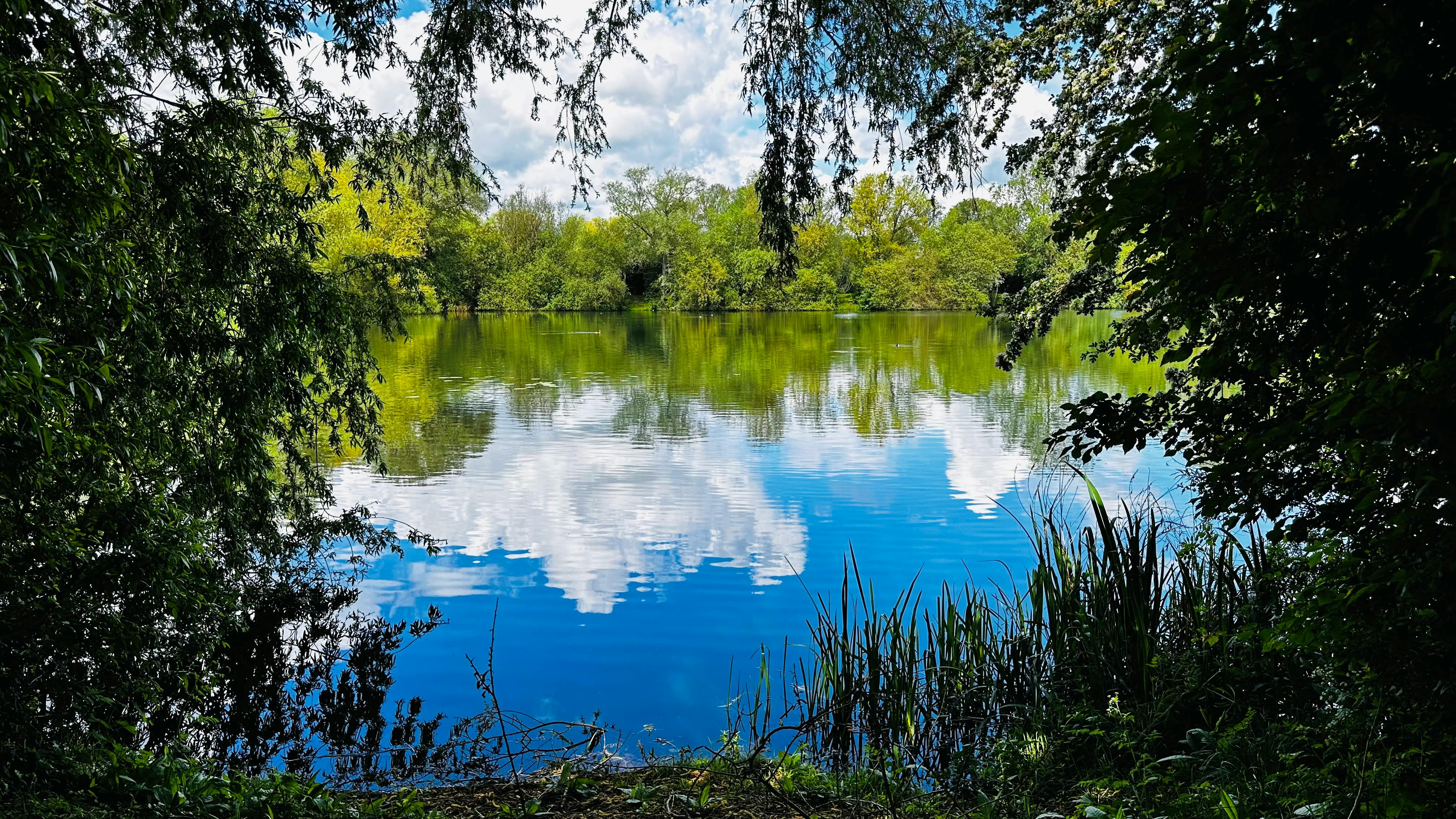 James Goss - Photography