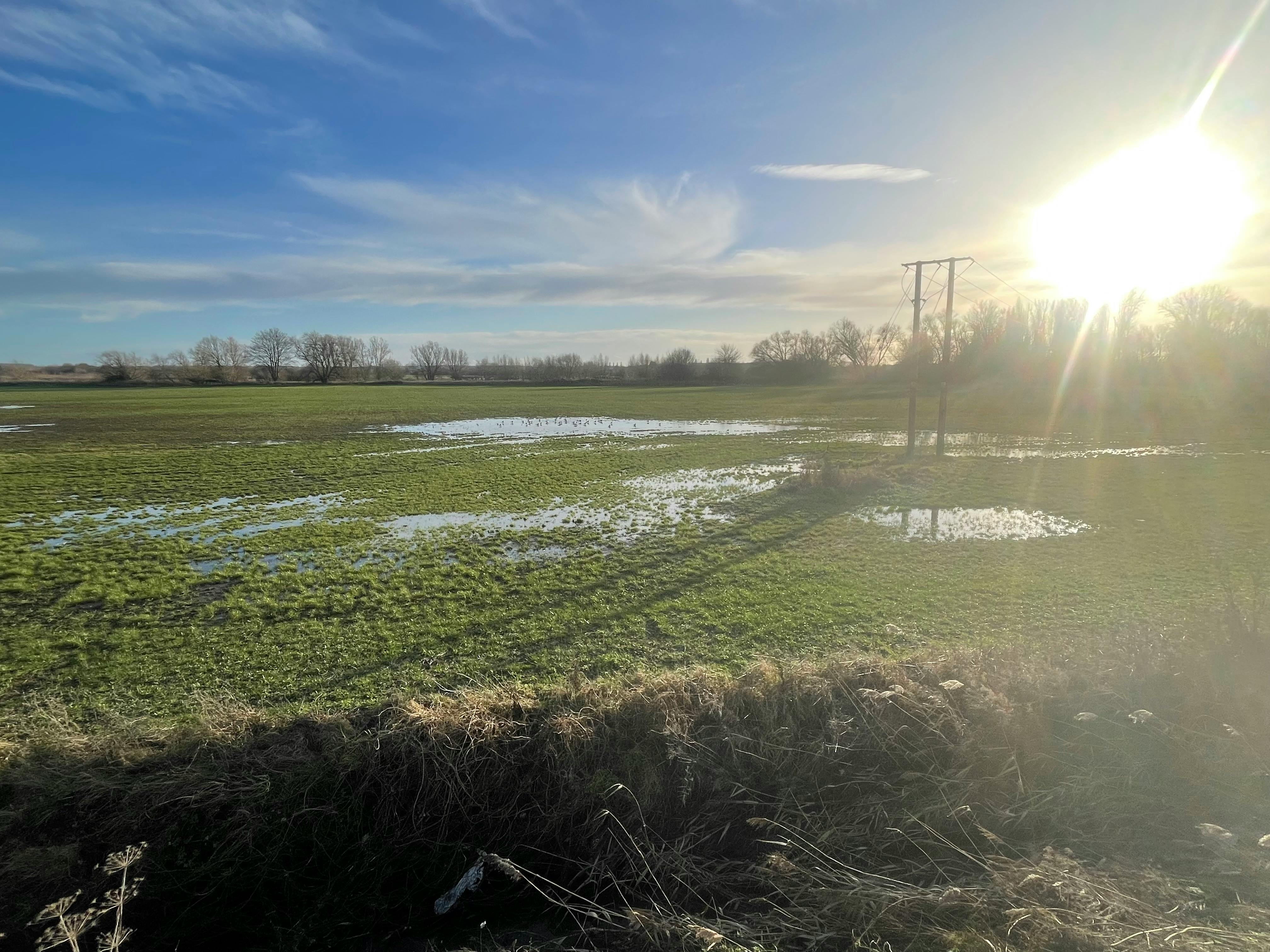 James Goss - Photography