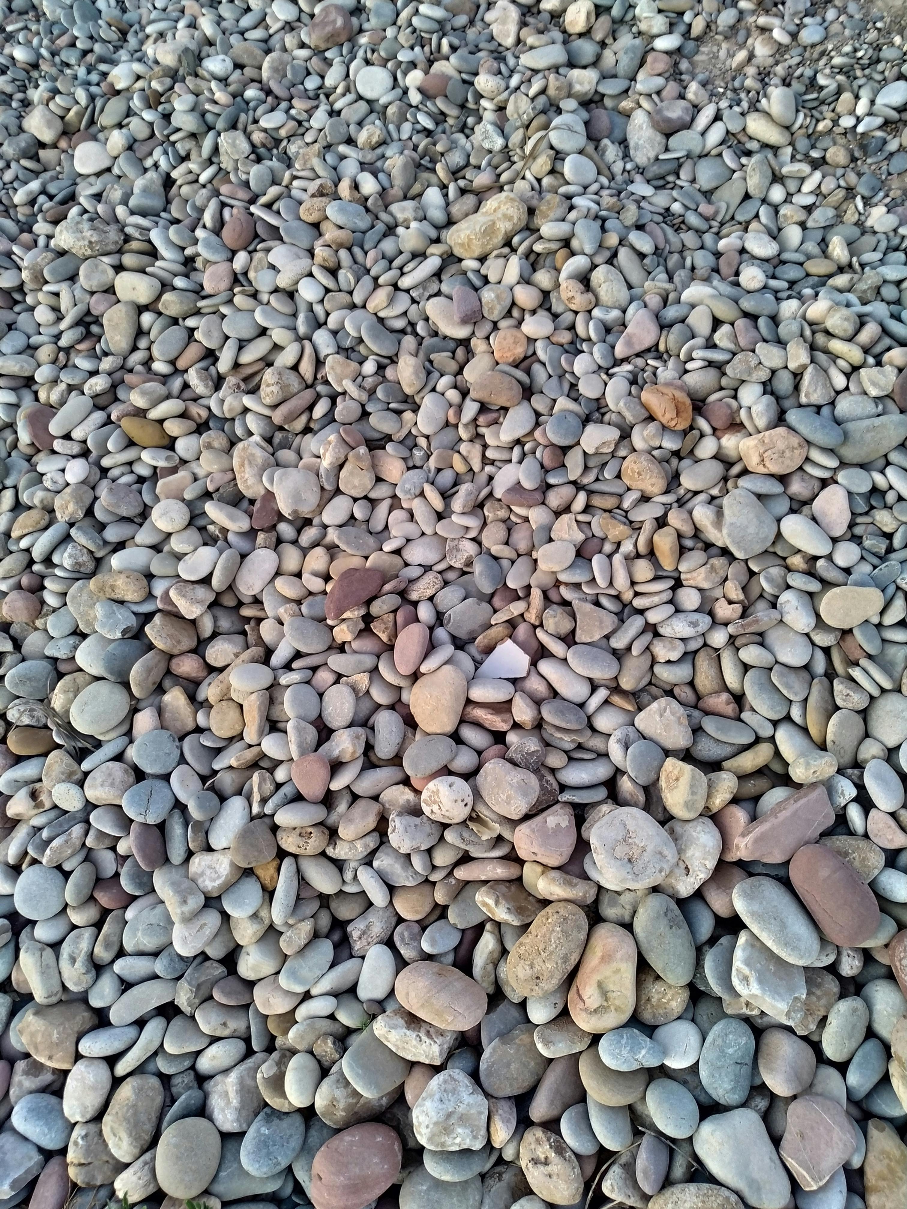 Black Pebbles on the Ground · Free Stock Photo