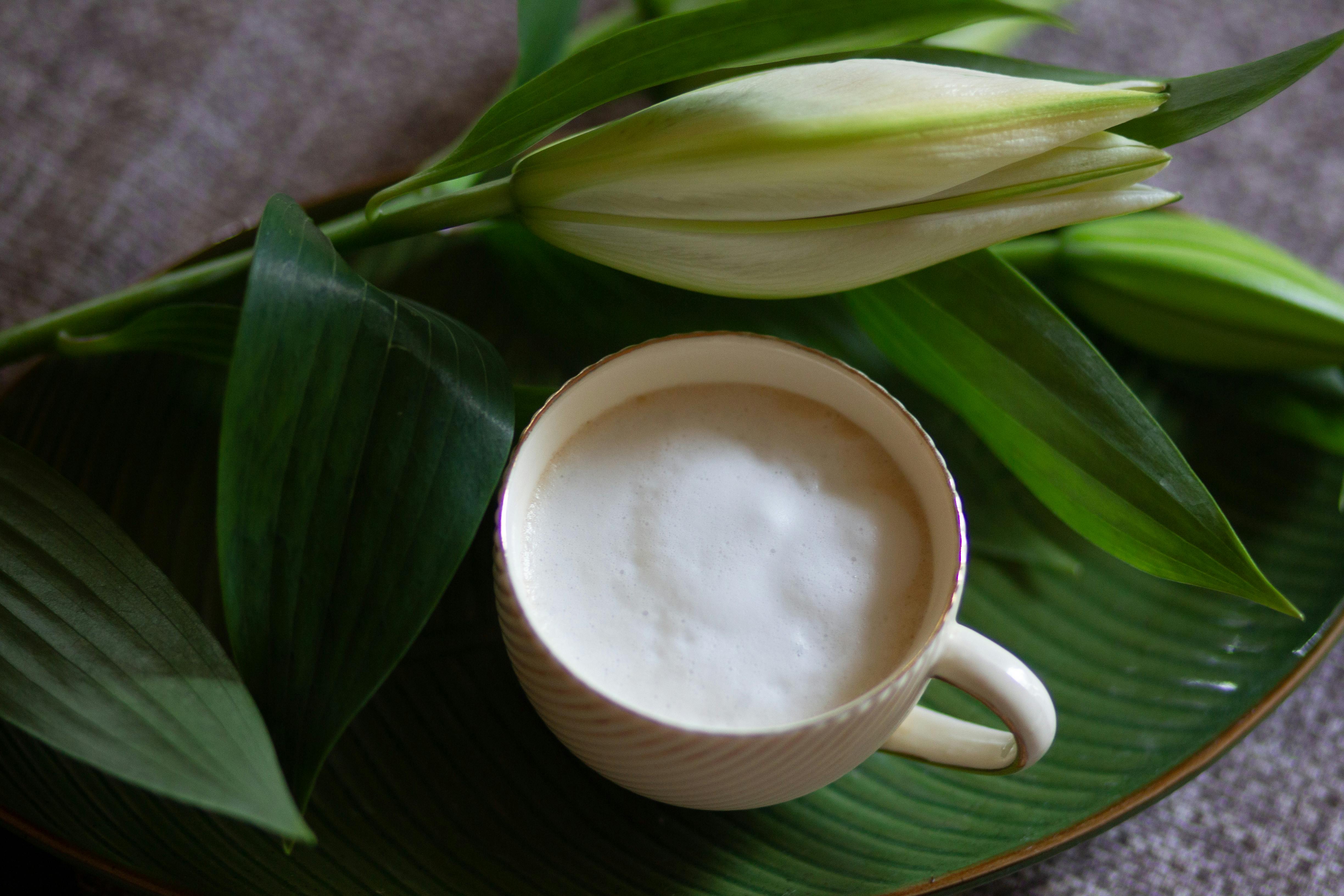 Whipping Photos, Download The BEST Free Whipping Stock Photos & HD Images