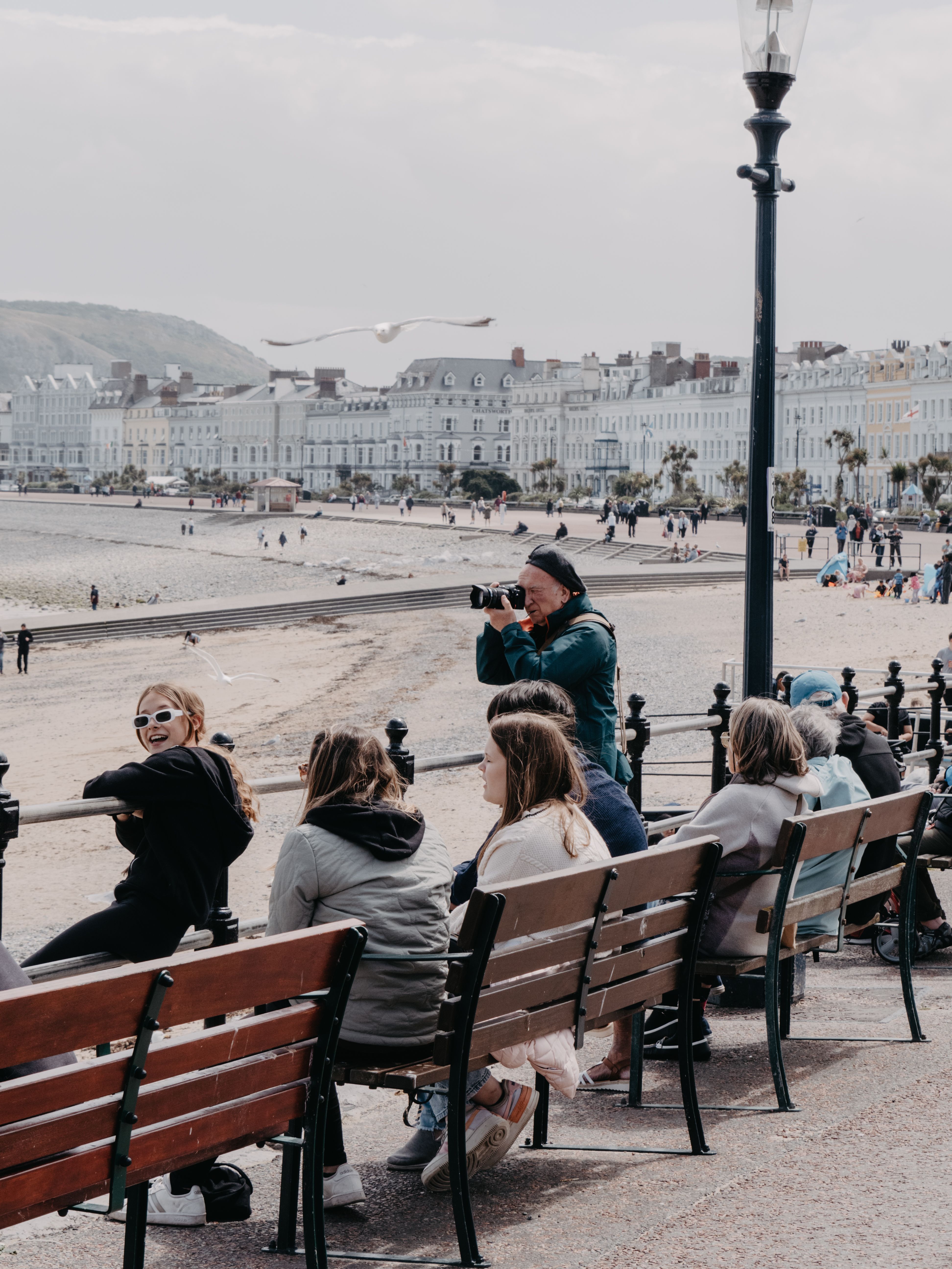 Men Sitting on Bench by the Street · Free Stock Photo