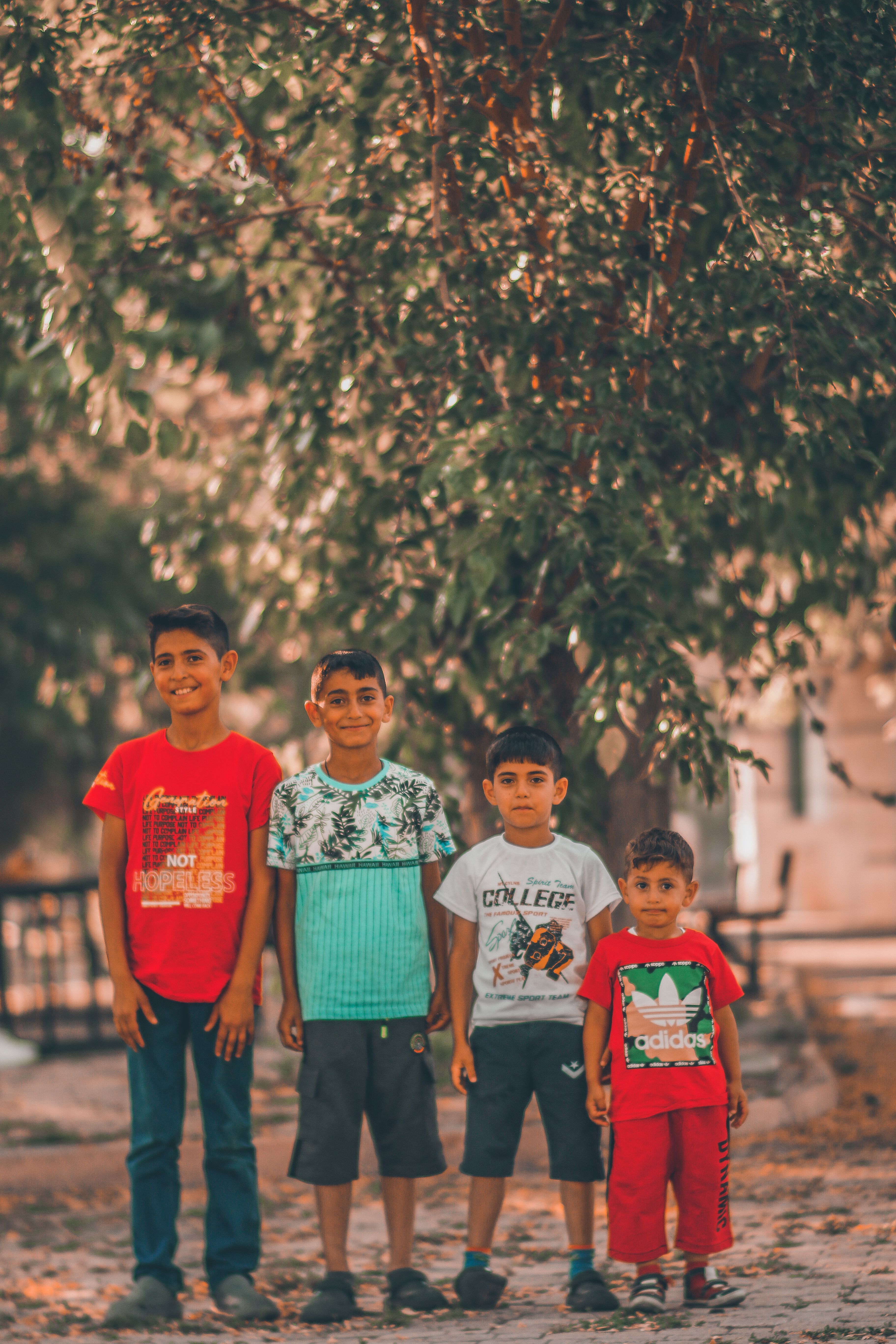 Boys Standing and Posing Together · Free Stock Photo