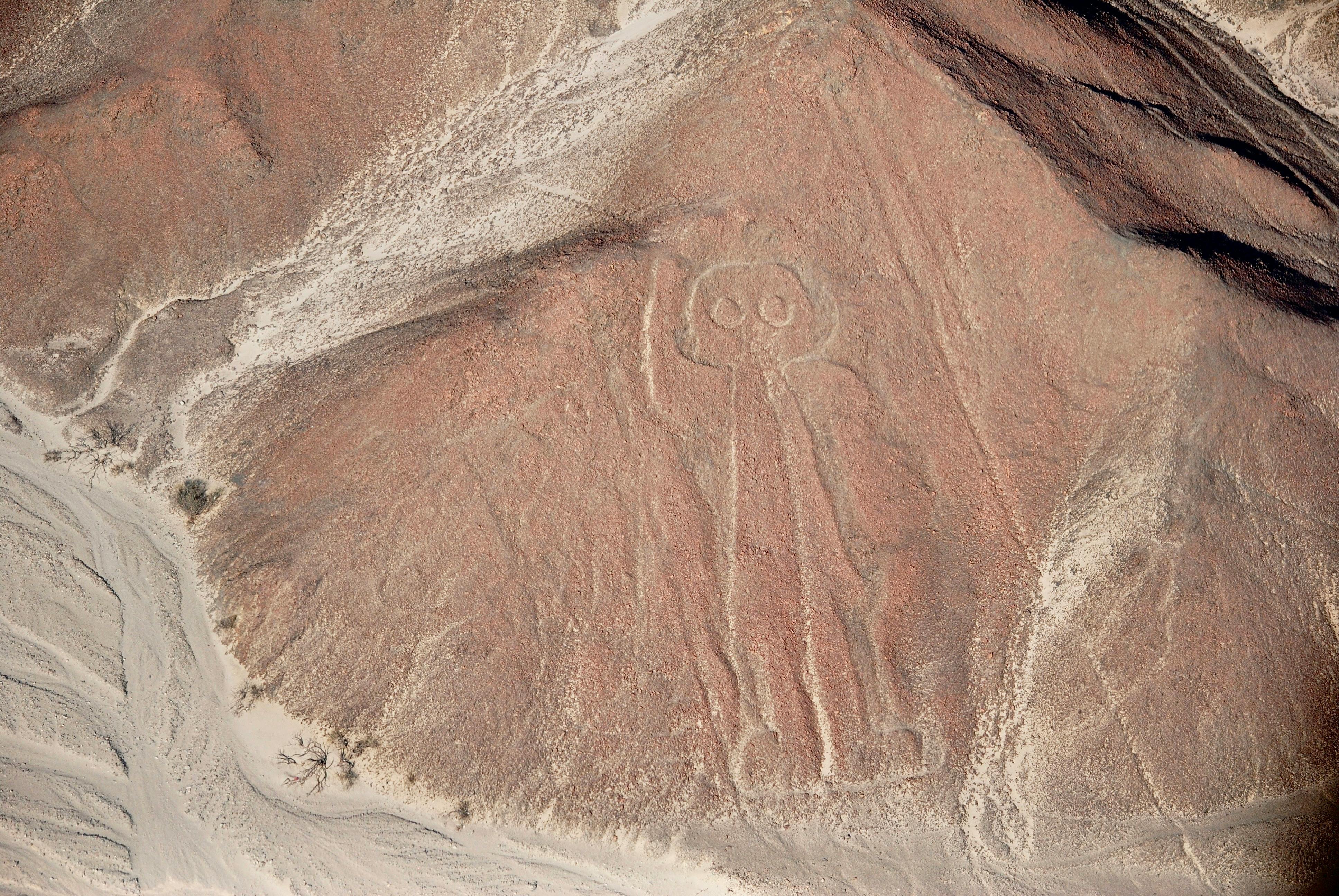 Nazca Lines Photos, Download The BEST Free Nazca Lines Stock Photos ...