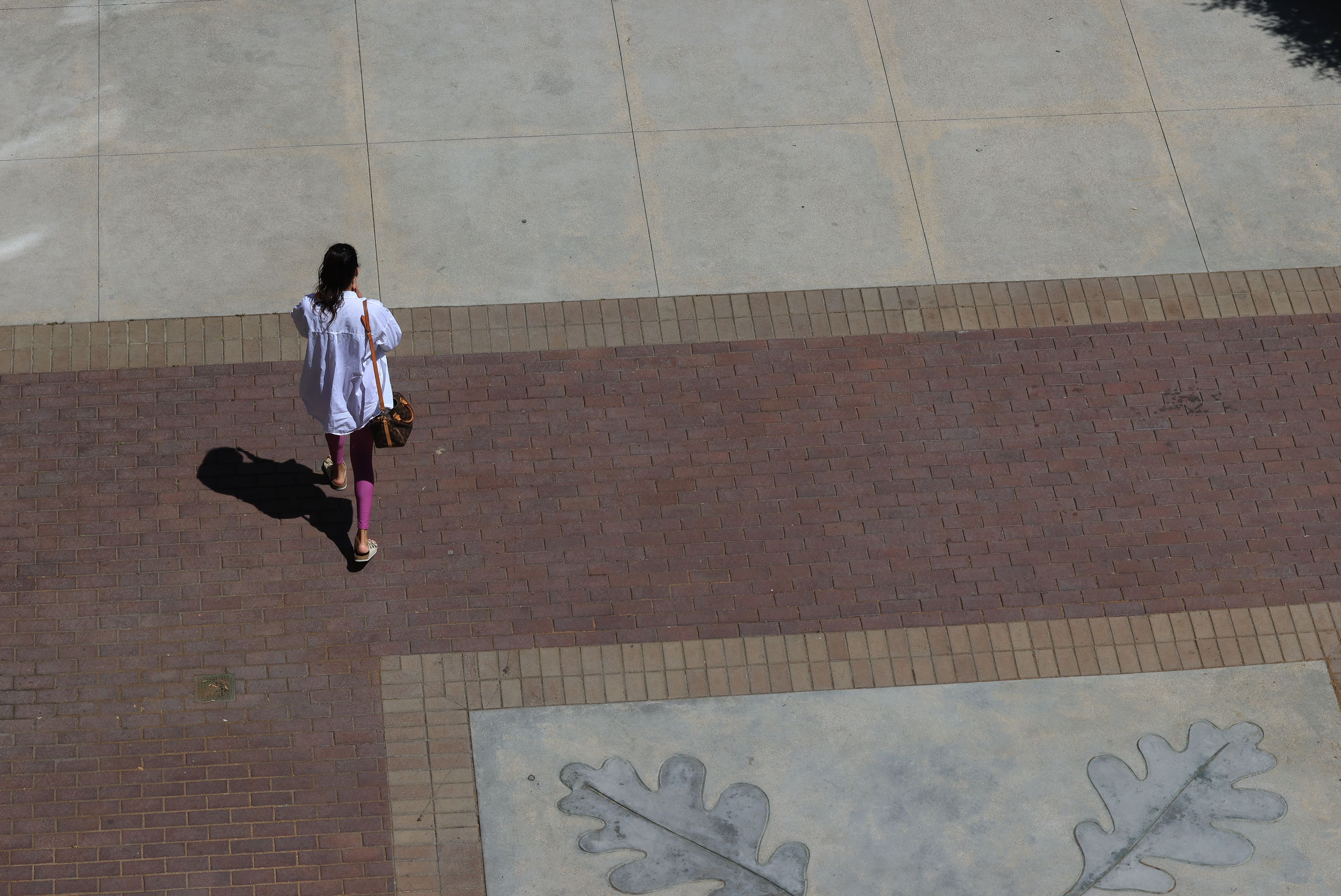 Woman Walking on Sunlit Pavement · Free Stock Photo