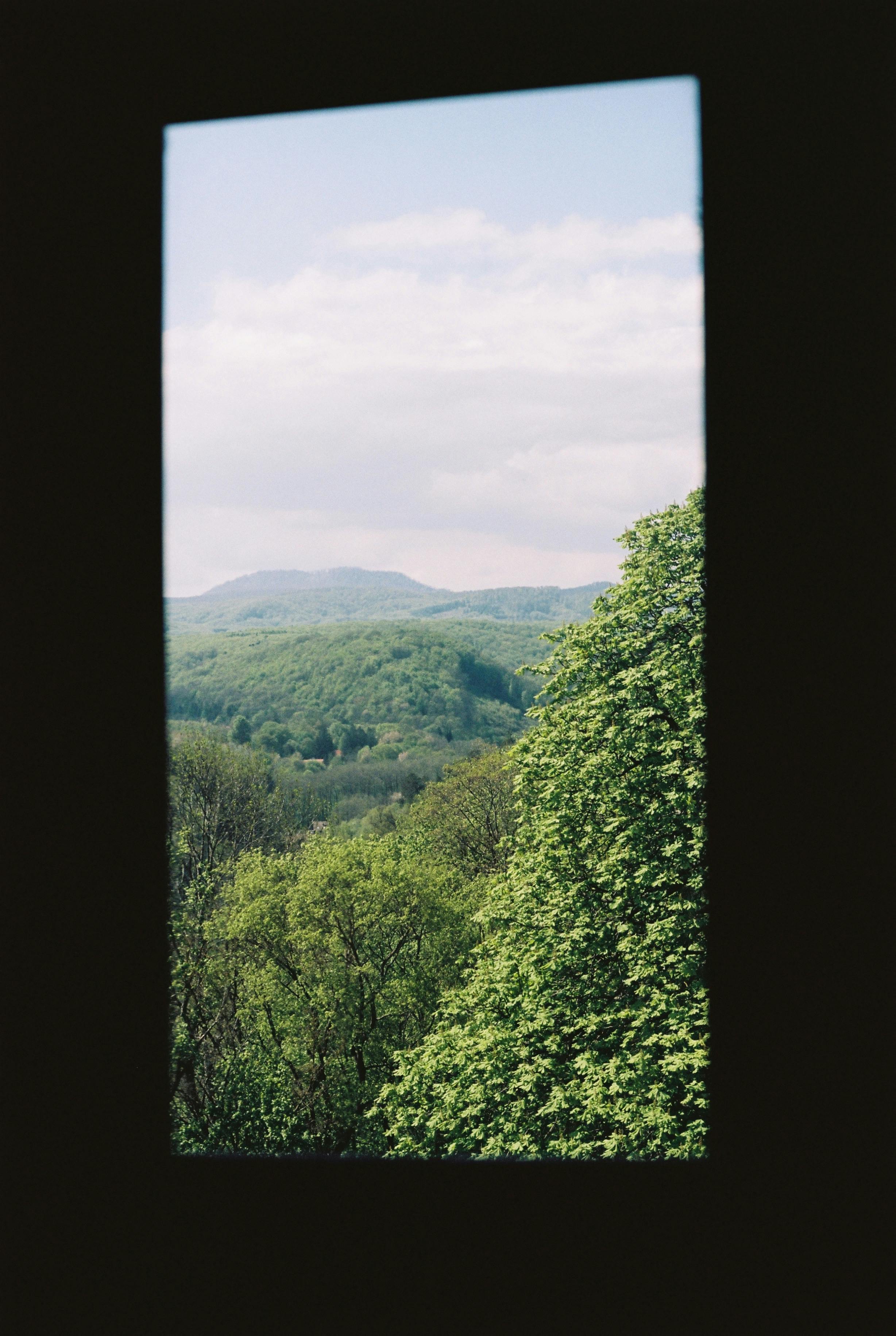 Rolling Landscape Covered by Forest seen through Window · Free Stock Photo