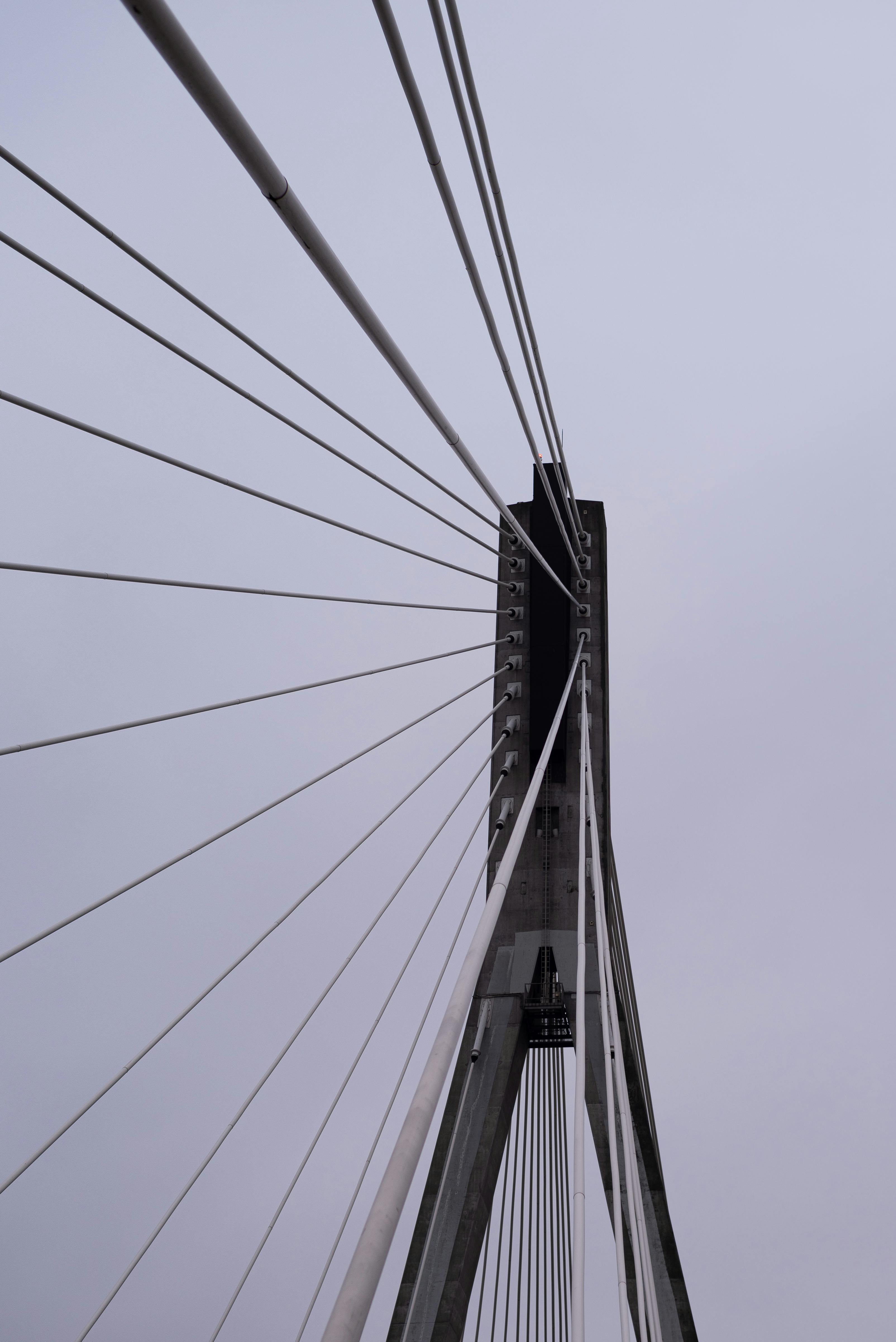 Suspension Cables of Bridge · Free Stock Photo
