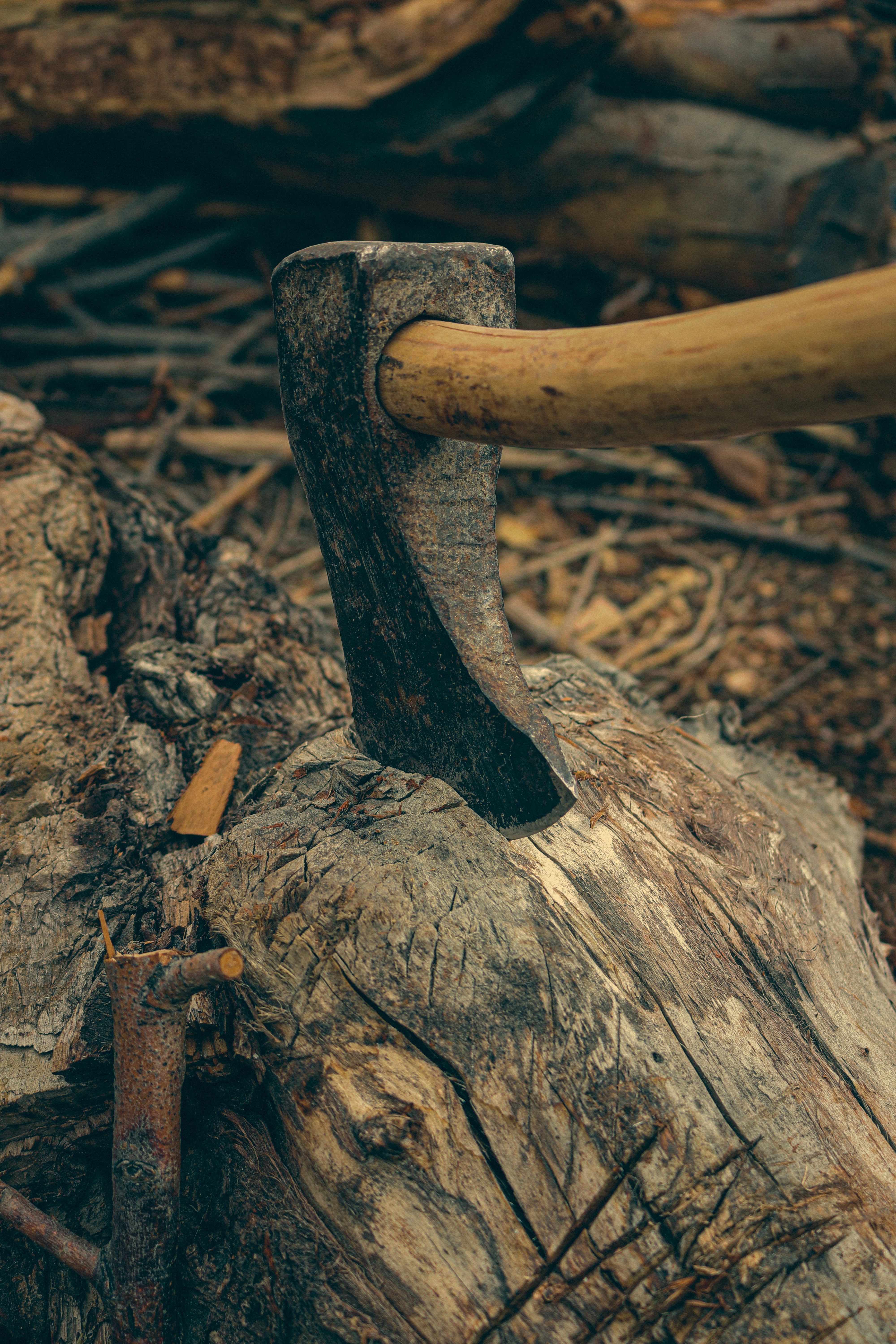 Axe in Wood · Free Stock Photo