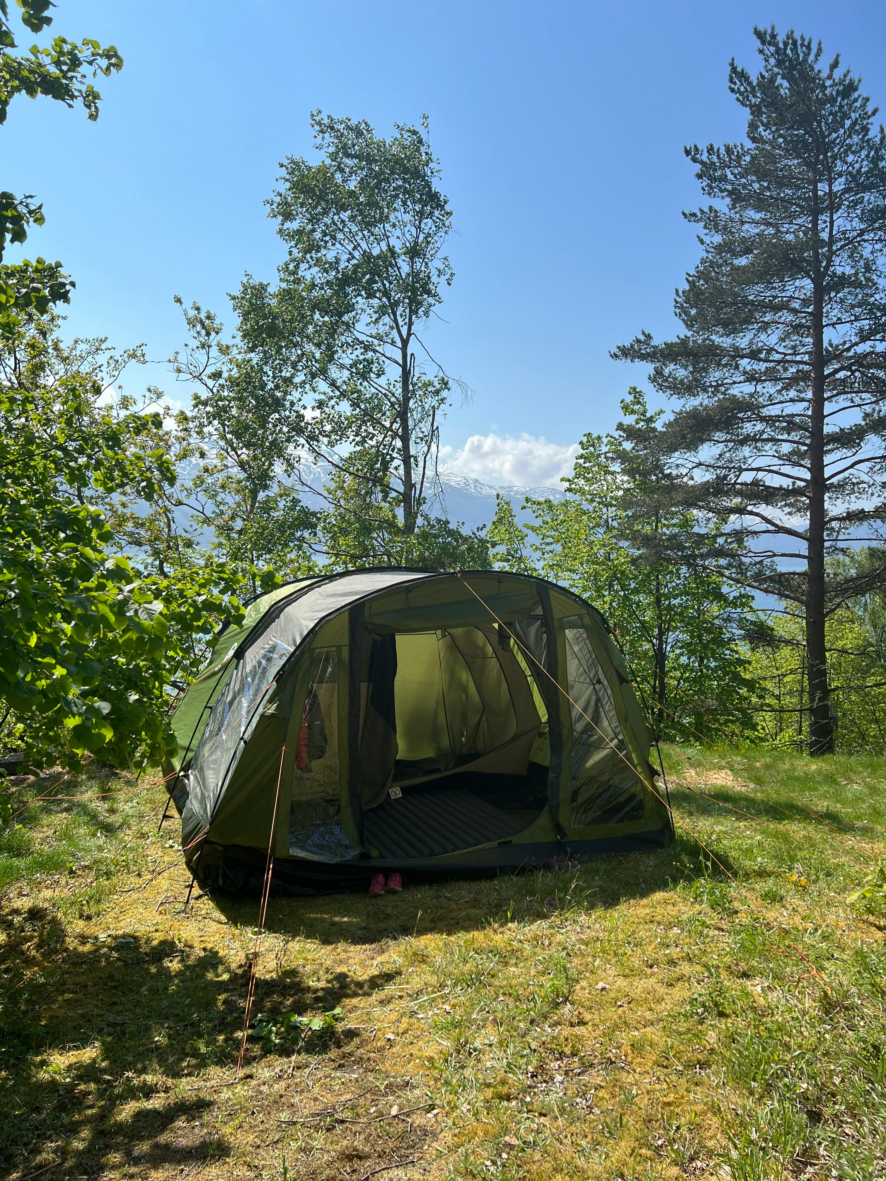 Photo of Tent in Forest · Free Stock Photo