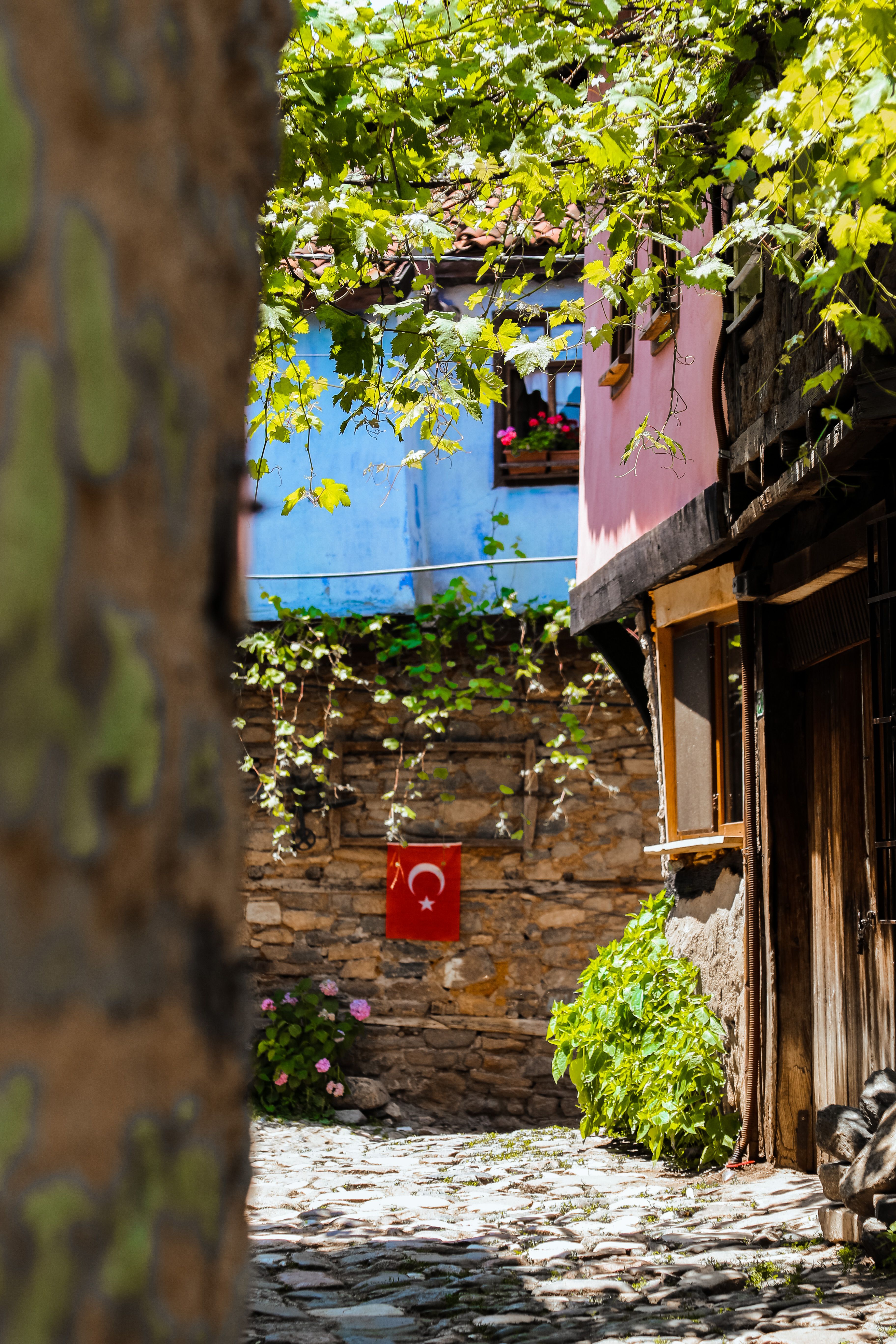 Turkish Flag on a Traditional Turkish House · Free Stock Photo