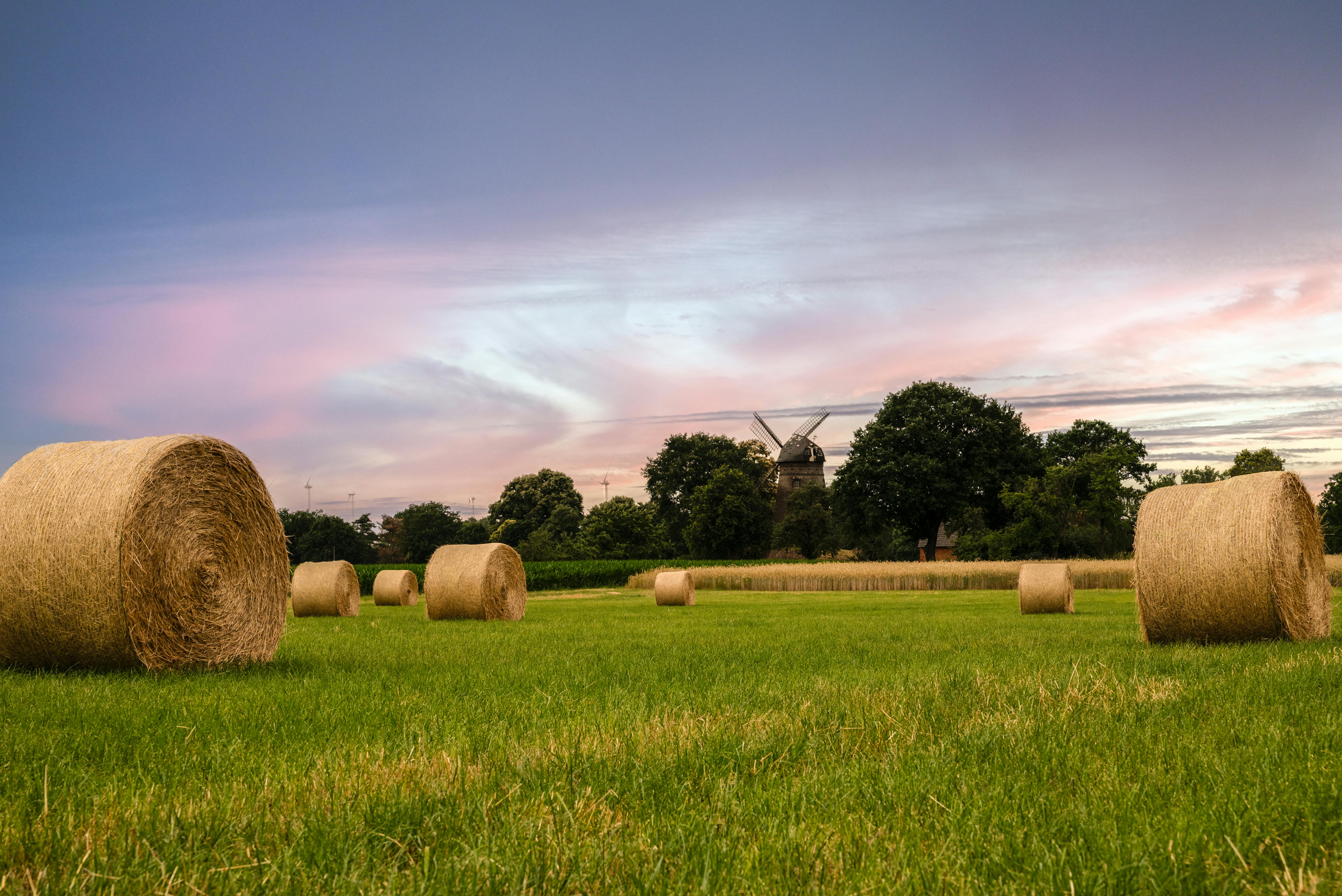 Hayfield During Sunset · Free Stock Photo