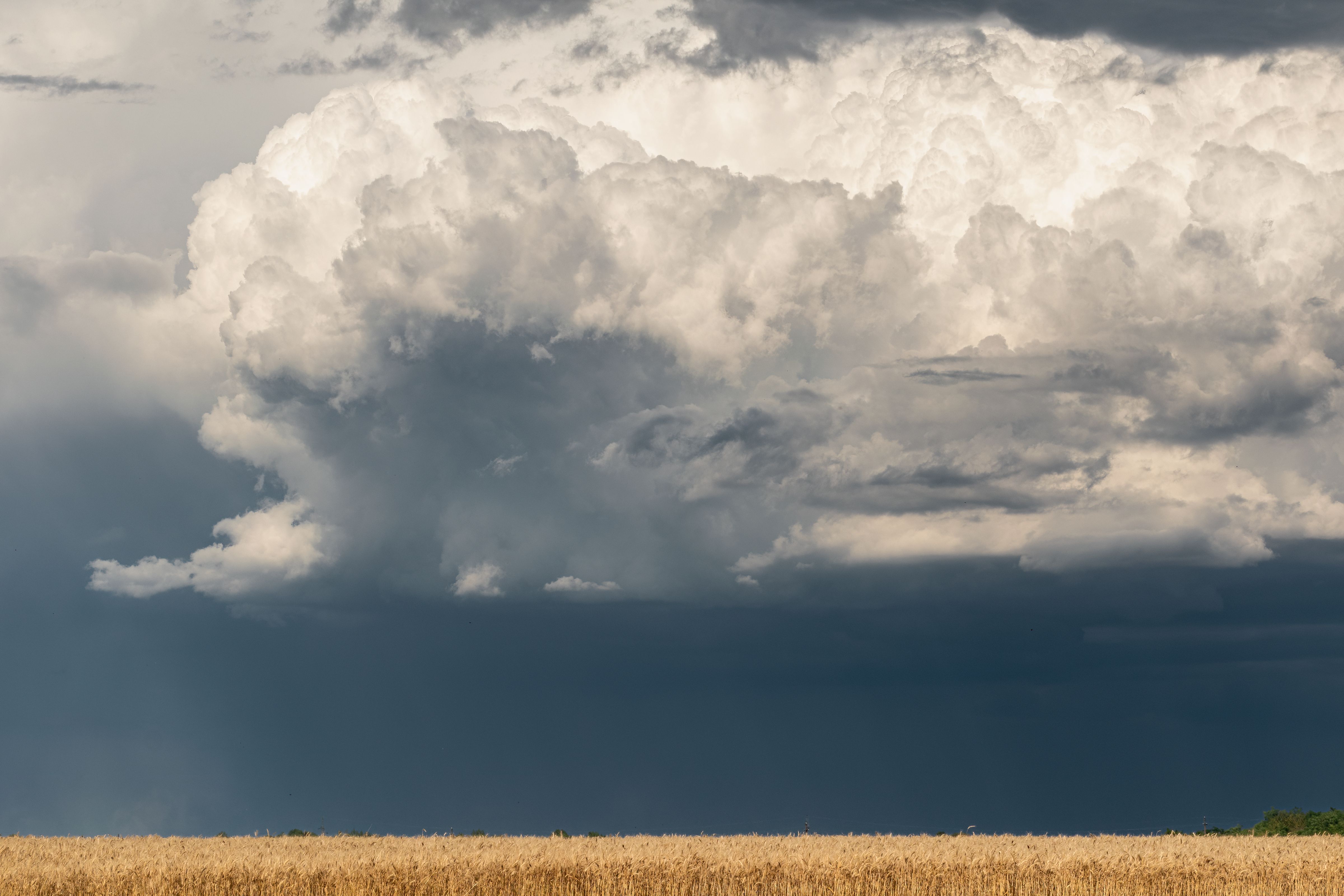 White Cloud over Rural Field · Free Stock Photo