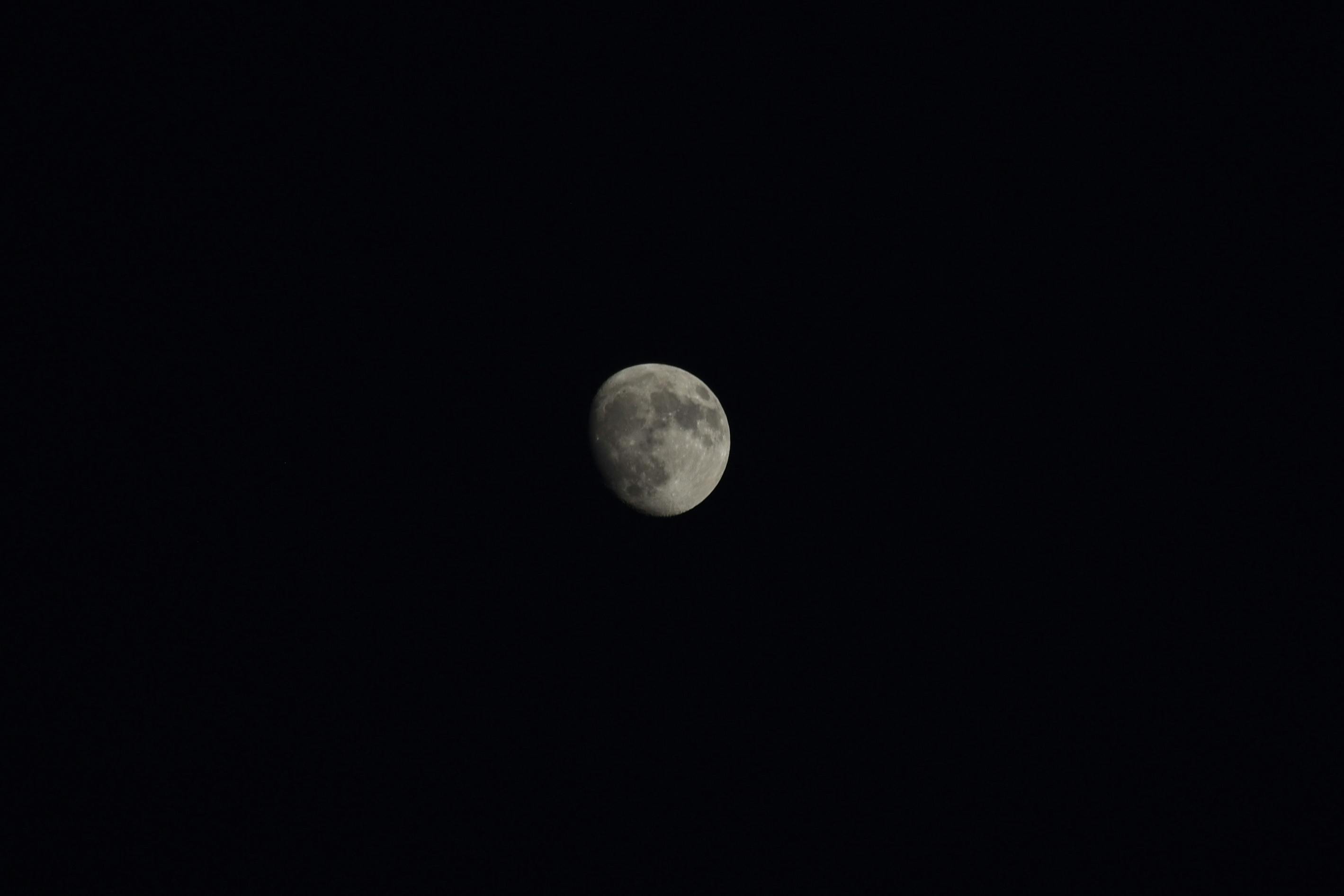 Corpus Collosum Photos, Download The BEST Free Corpus Collosum Stock ...