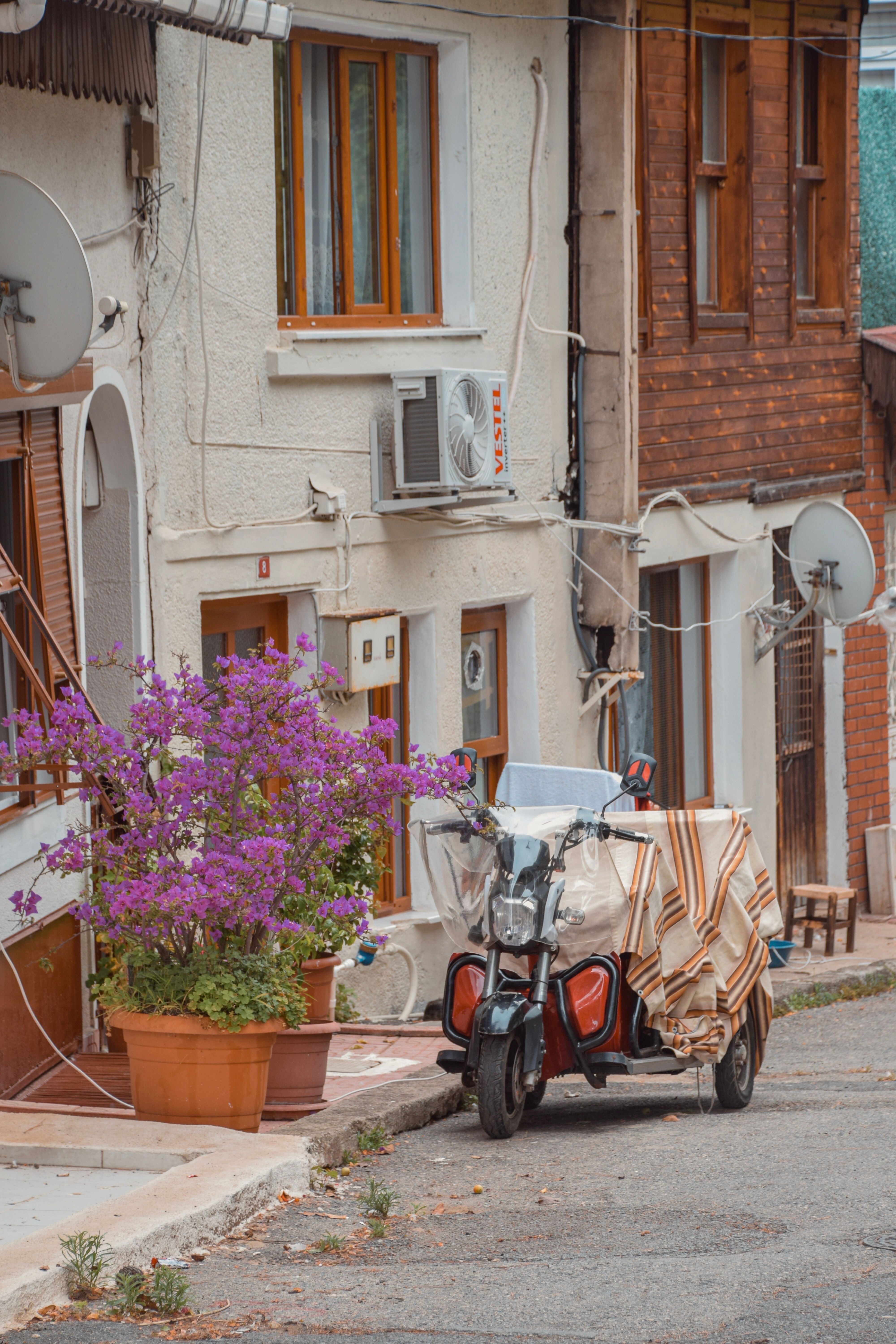 Narrow Alley in a Suburb District · Free Stock Photo