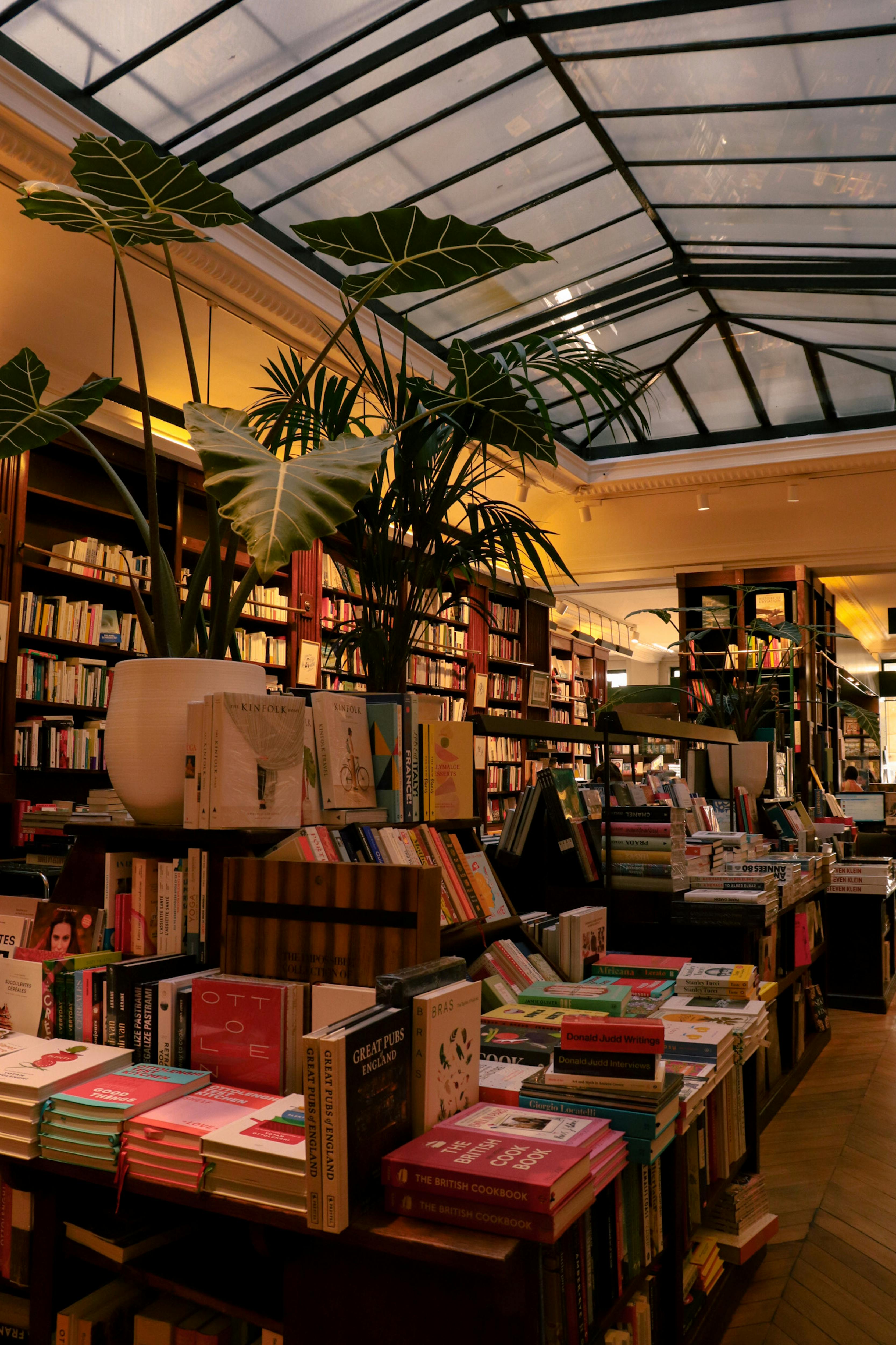 A bookstore with books on shelves and plants · Free Stock Photo
