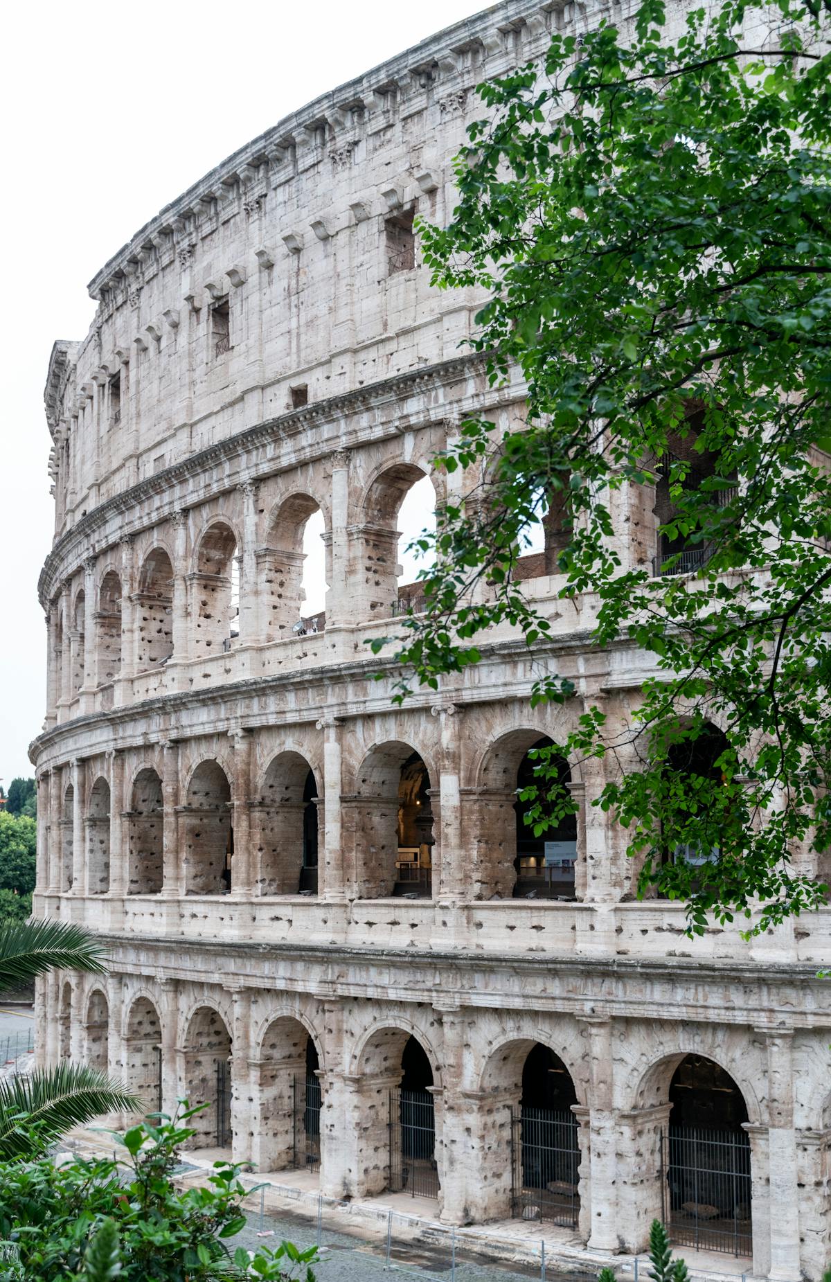 Colosseum Italian Photos, Download The BEST Free Colosseum Italian ...