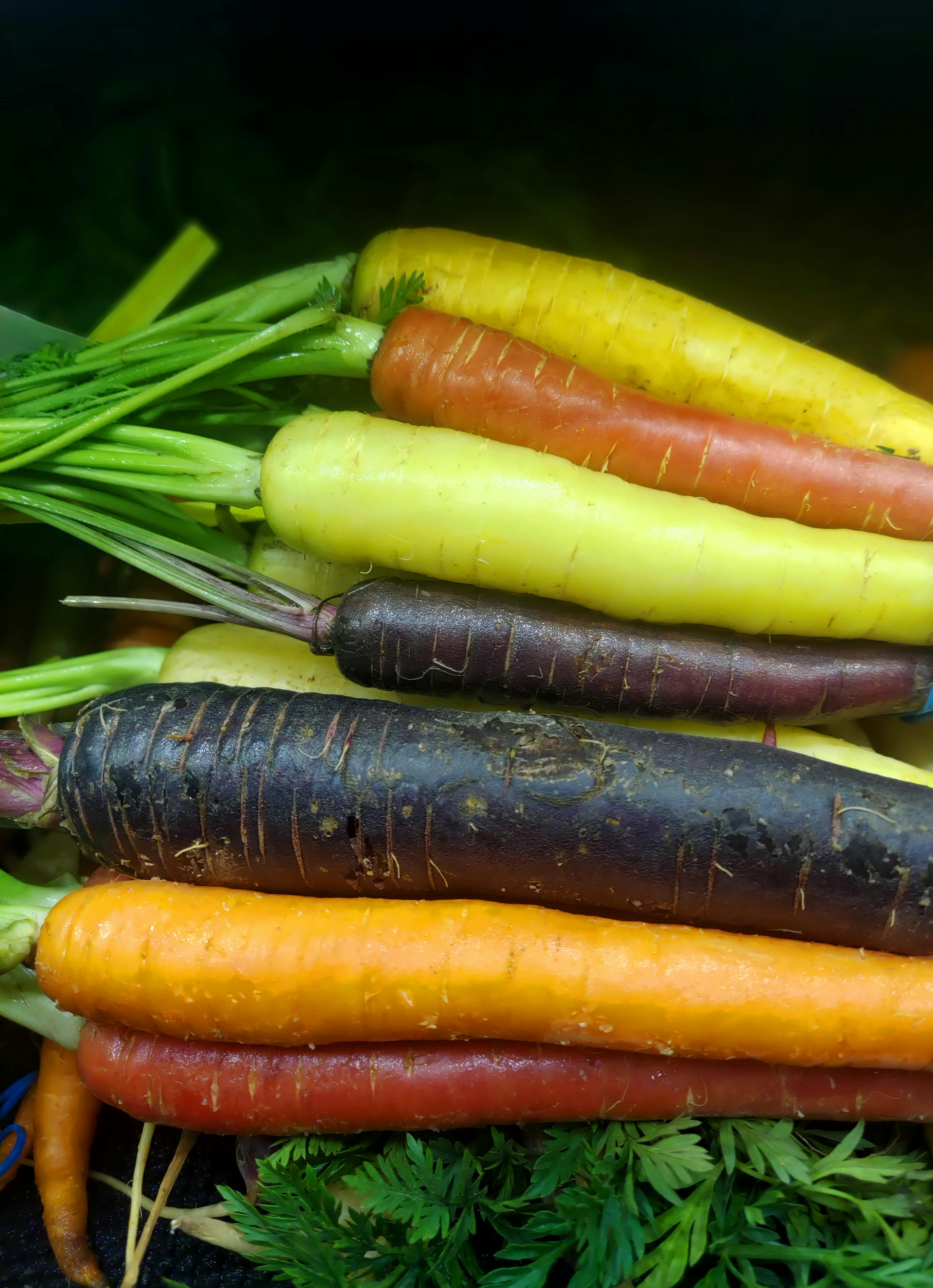 Close-up of a Bunch of Carrots · Free Stock Photo