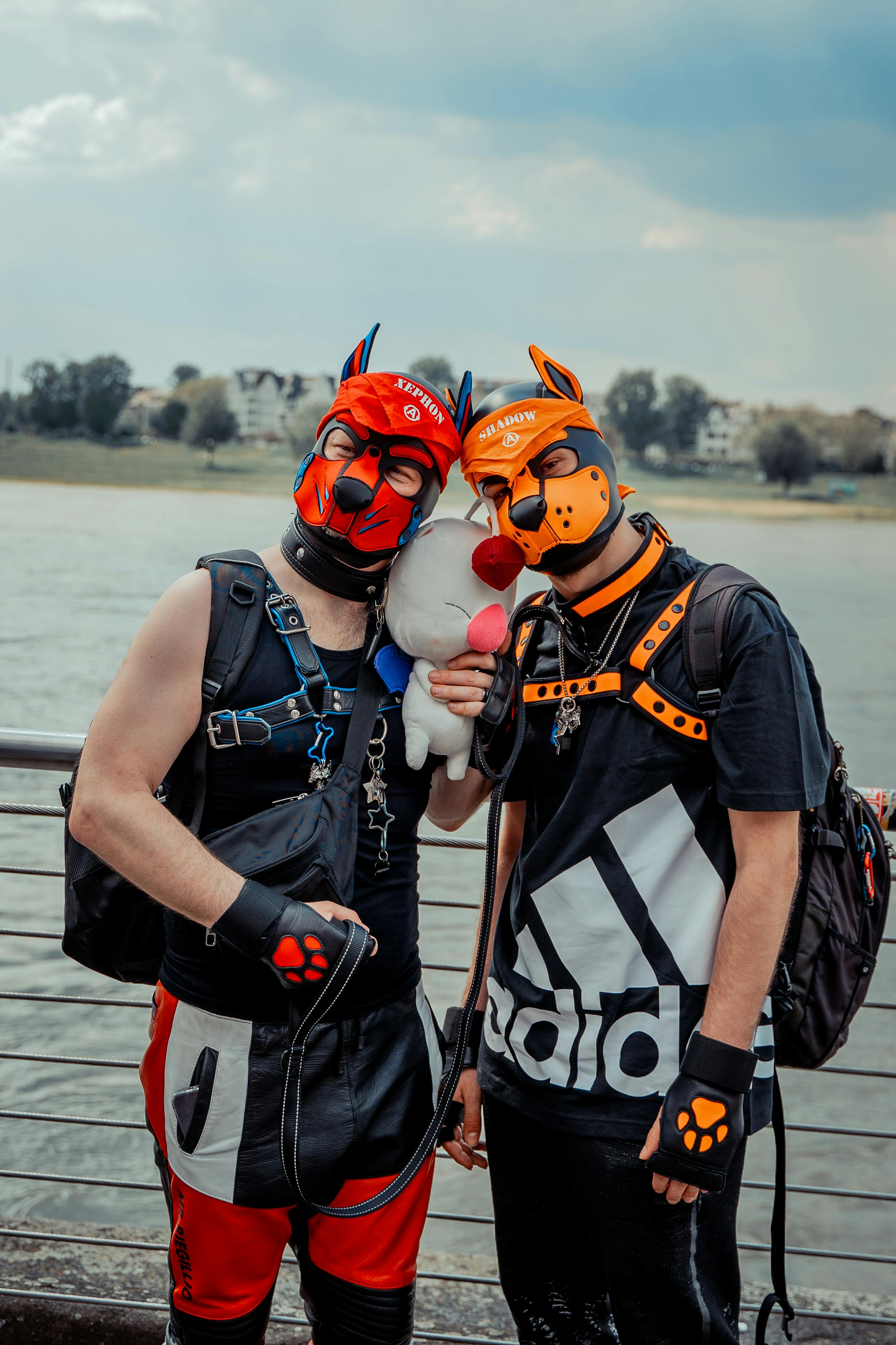 Cipa Masking Photos, Download The BEST Free Cipa Masking Stock Photos ...