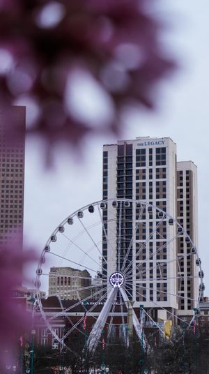 Atlanta Georgia Skyline Photos, Download The BEST Free Atlanta Georgia ...