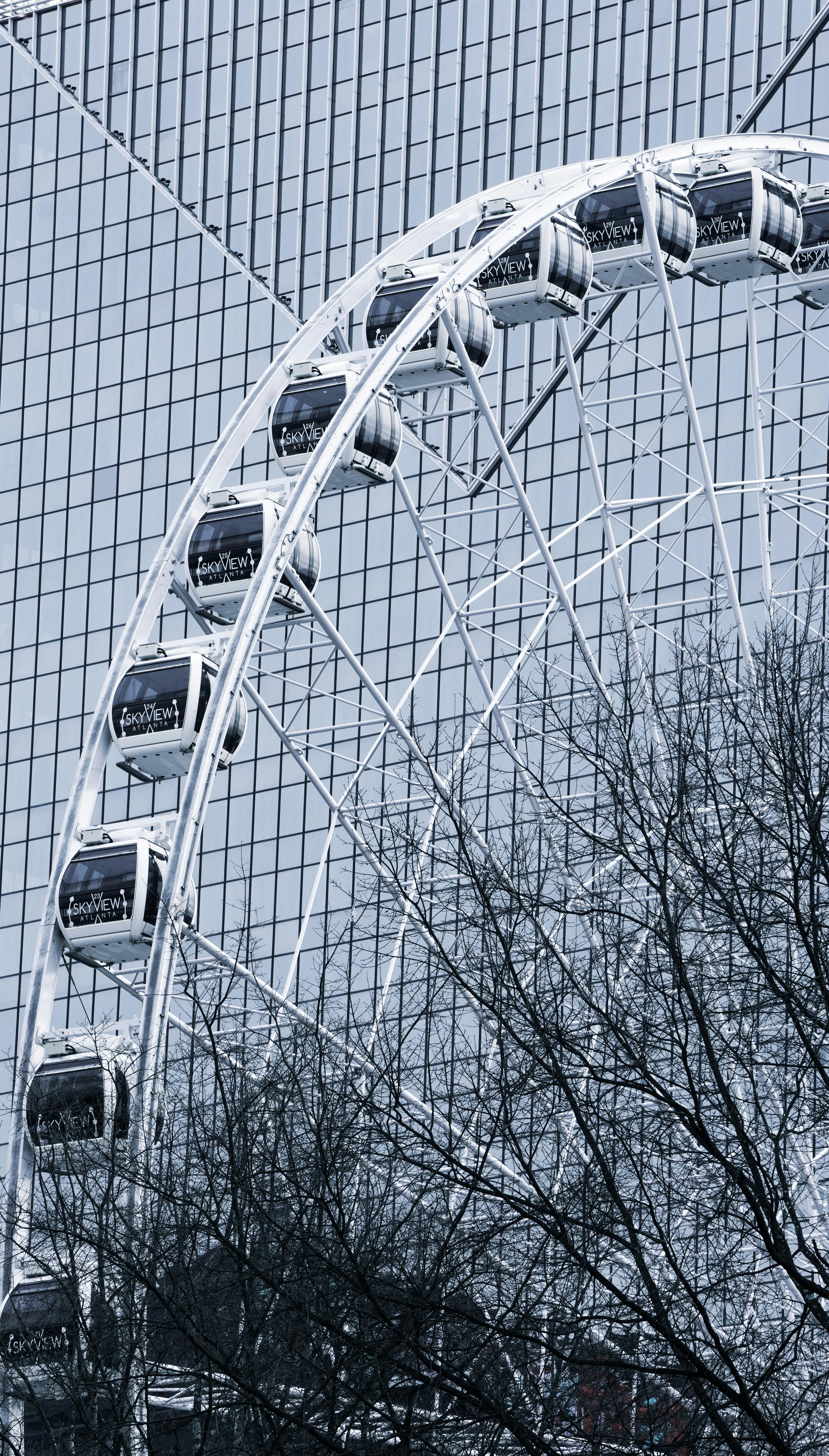 Ferris Wheel behind Tree · Free Stock Photo